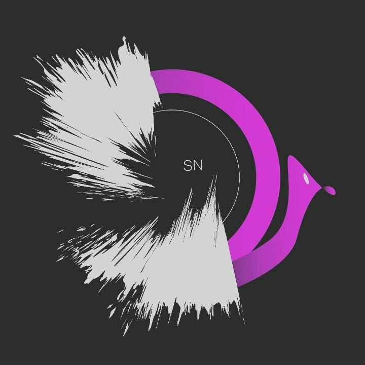 ArtStation - SHEN NATION (SN) Logo -WIP-