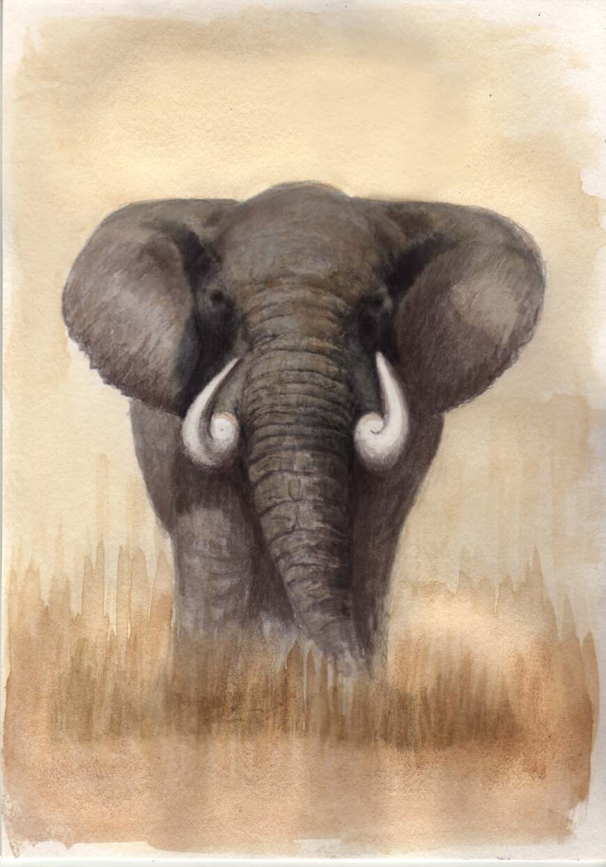 ArtStation - Painted Elephant
