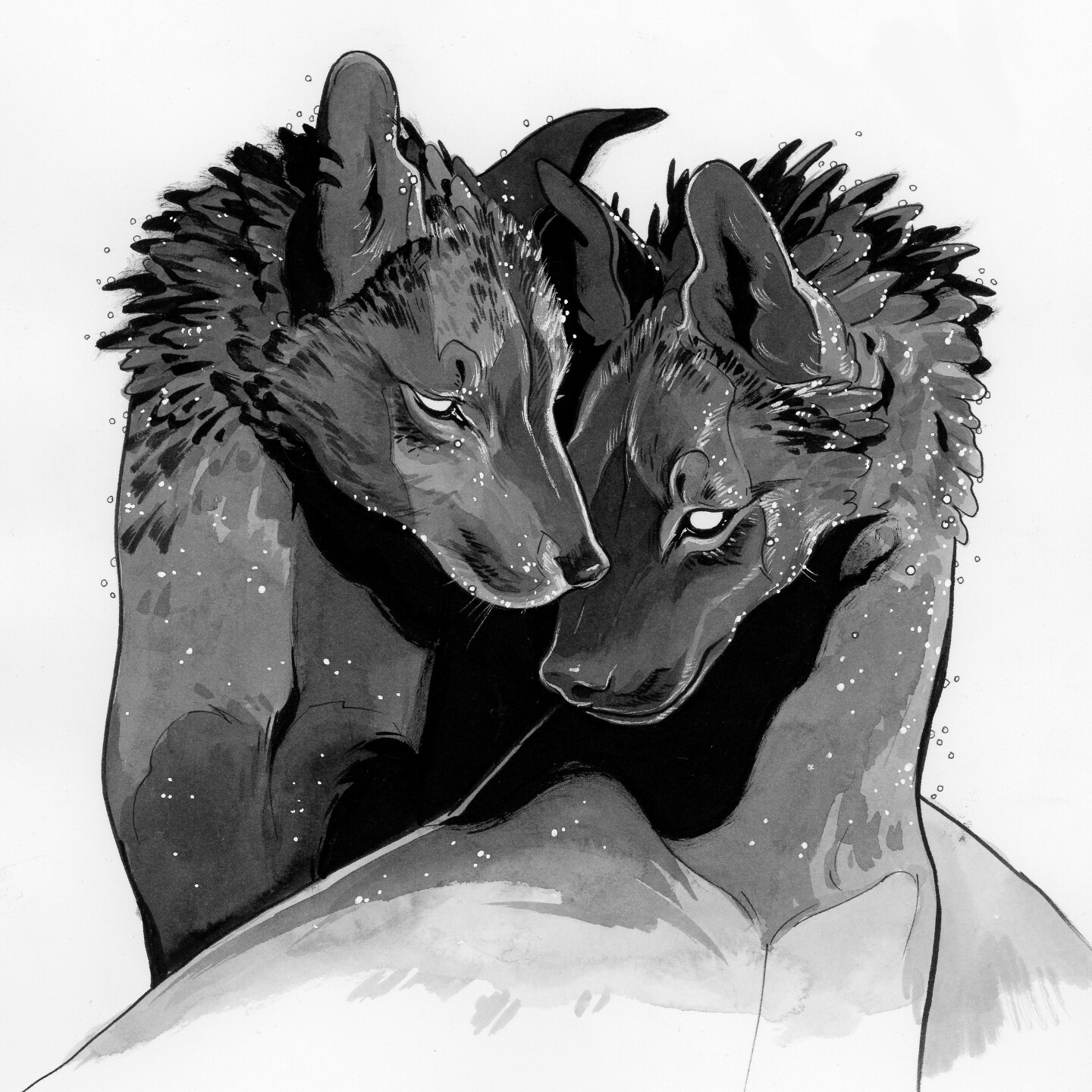 Anime Black And White Wolf Couple