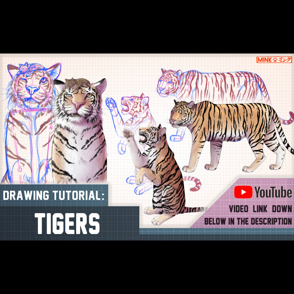 ArtStation - Tigers - Drawing Tutorial Video