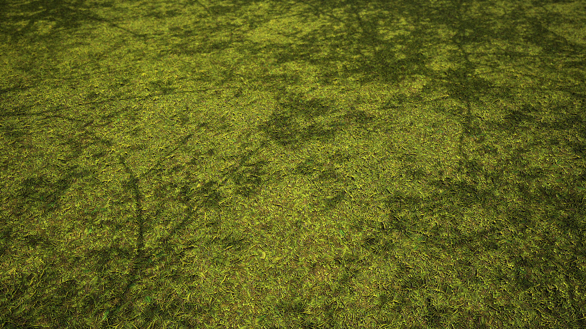 Grzegorz Baran - Grass - Procedural Material