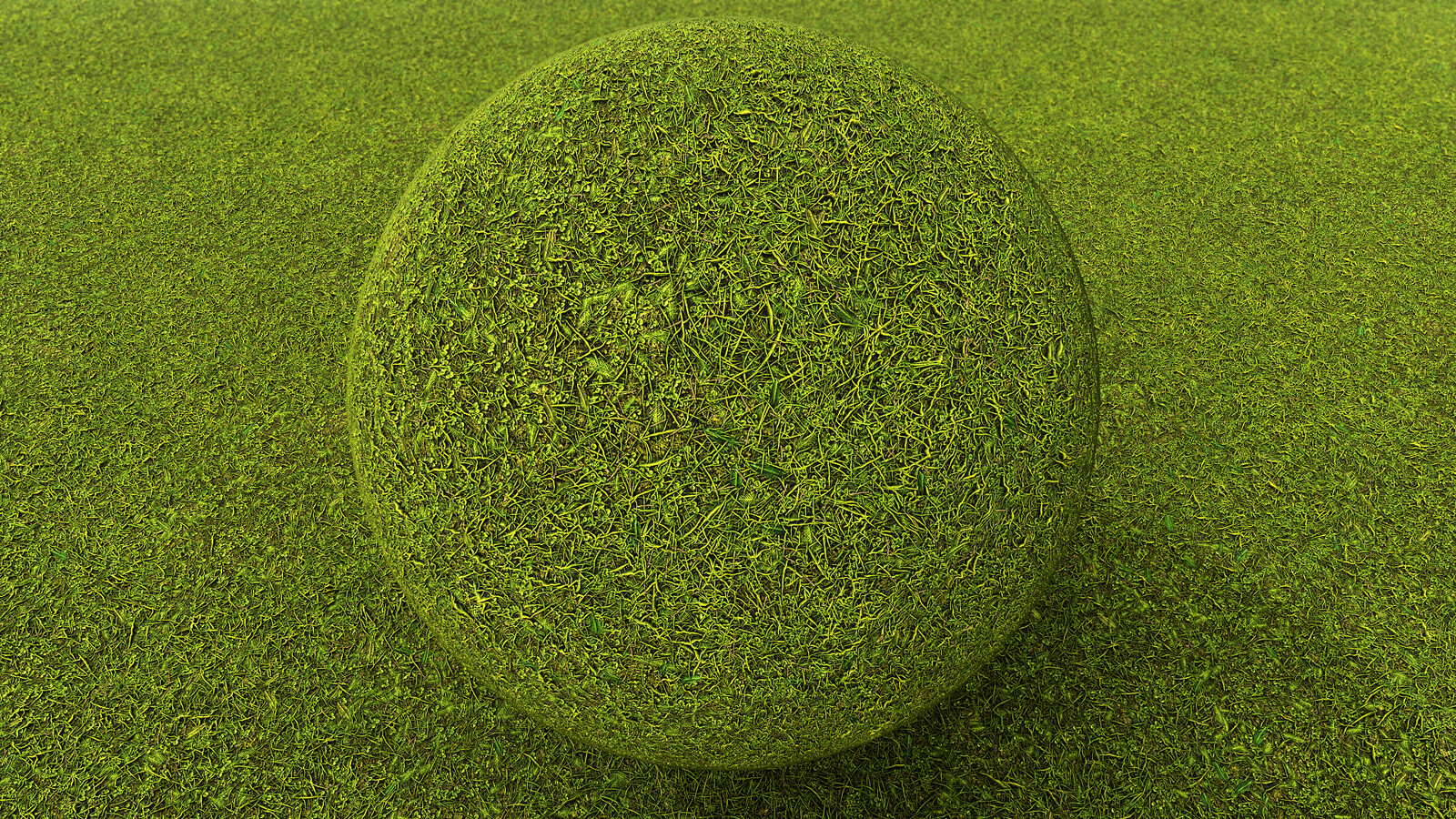 Grzegorz Baran - Grass - Procedural Material