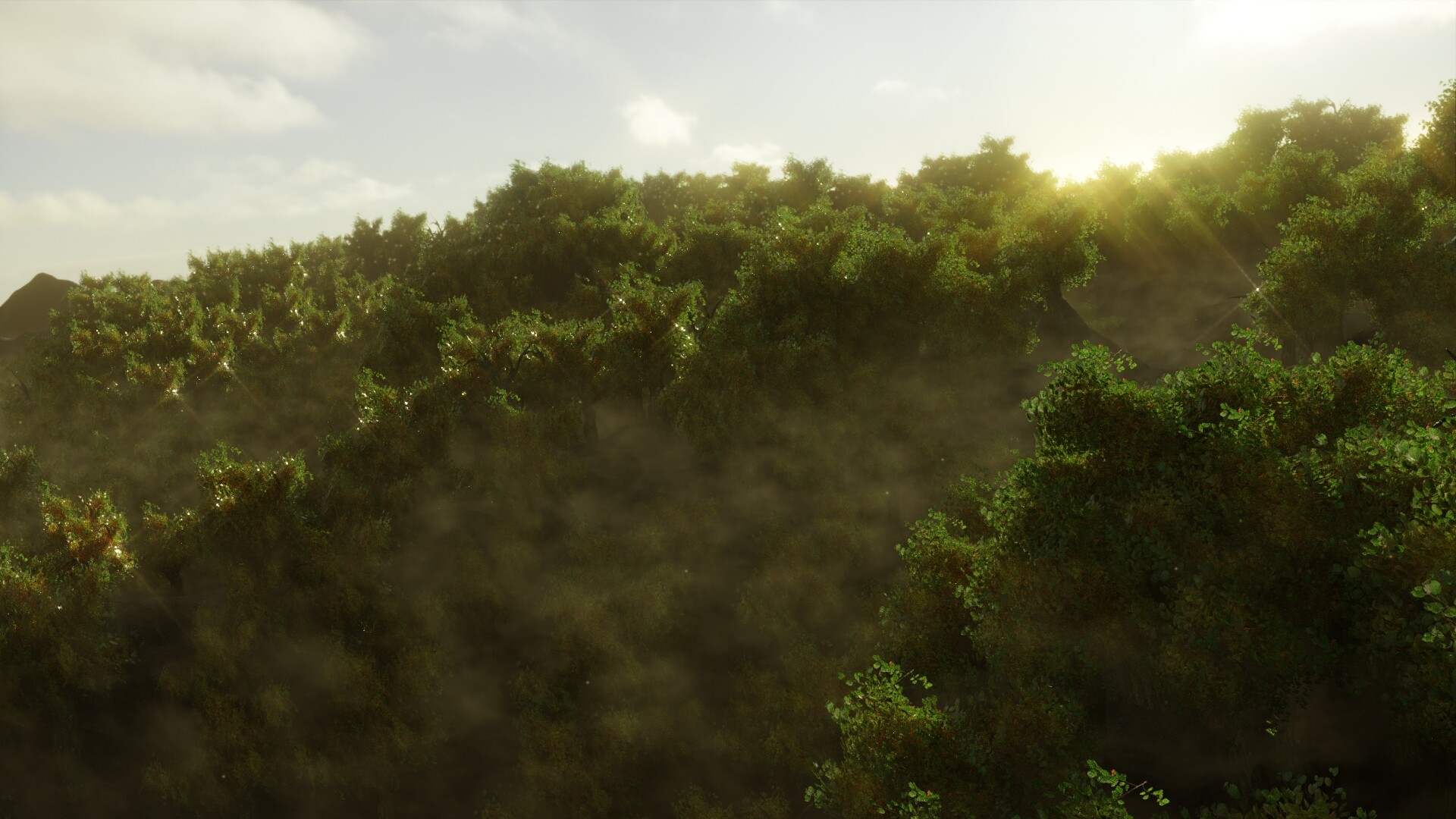 ArtStation - Cinematic Realistic Forest in Blender 2.8