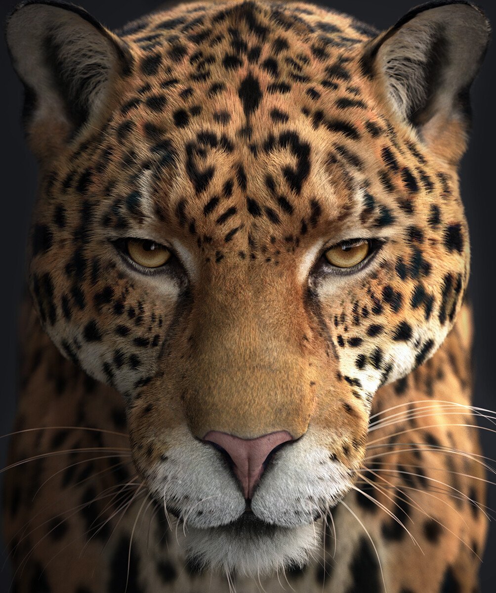 ArtStation - Jaguar Portrait