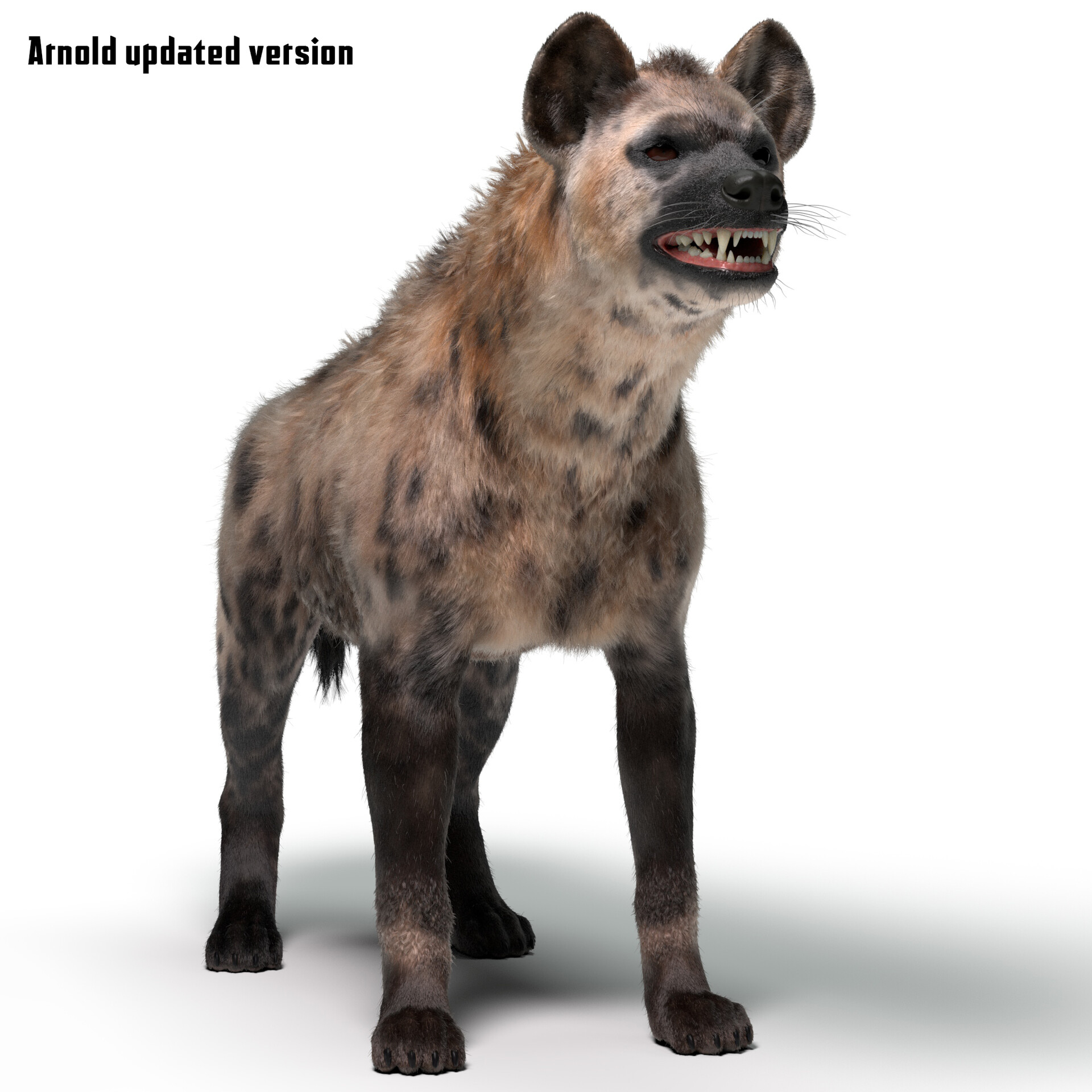 ArtStation - Hyena render Arnold VS Vray next