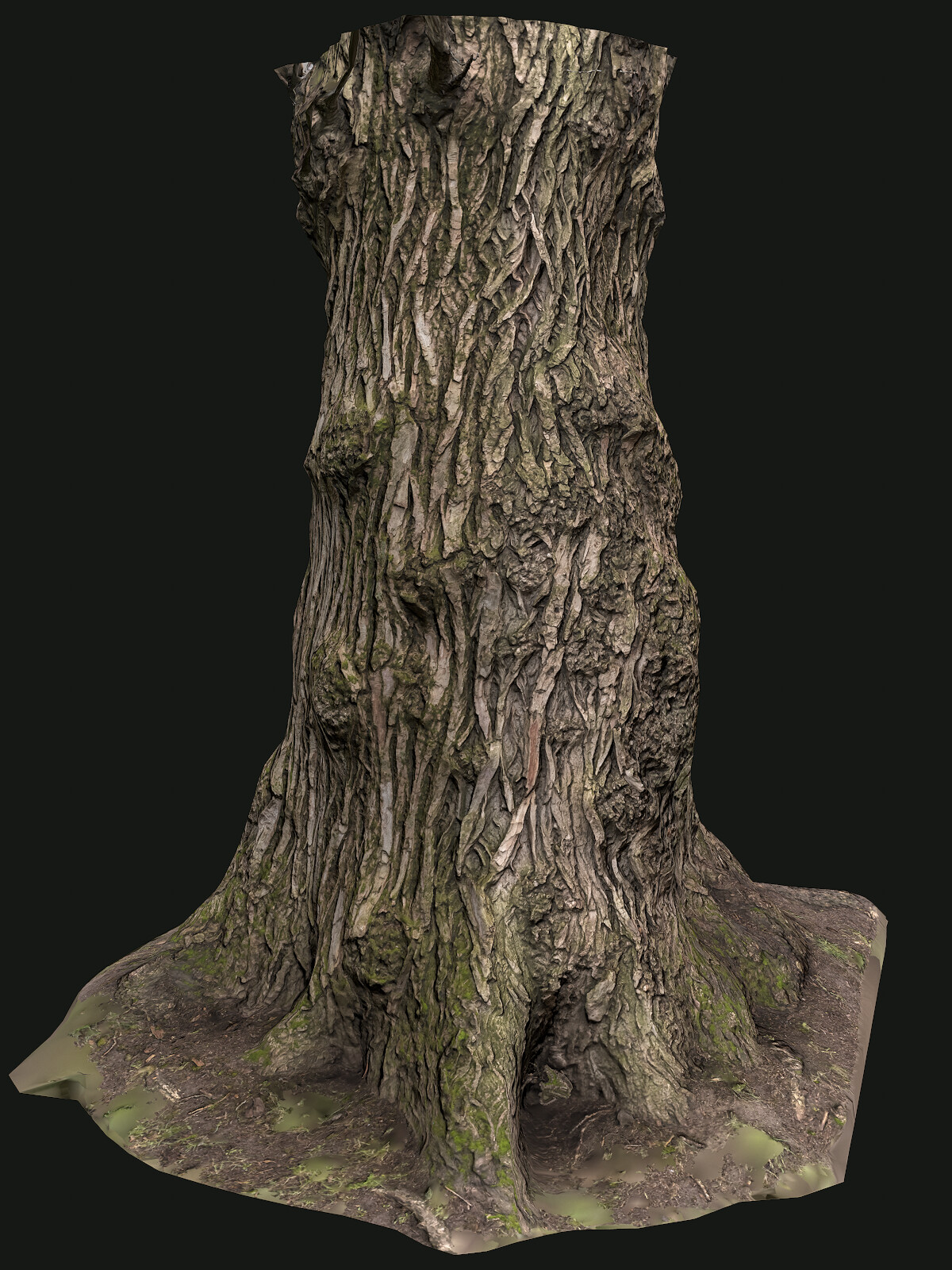 ArtStation - A photo-scanned tree trunk