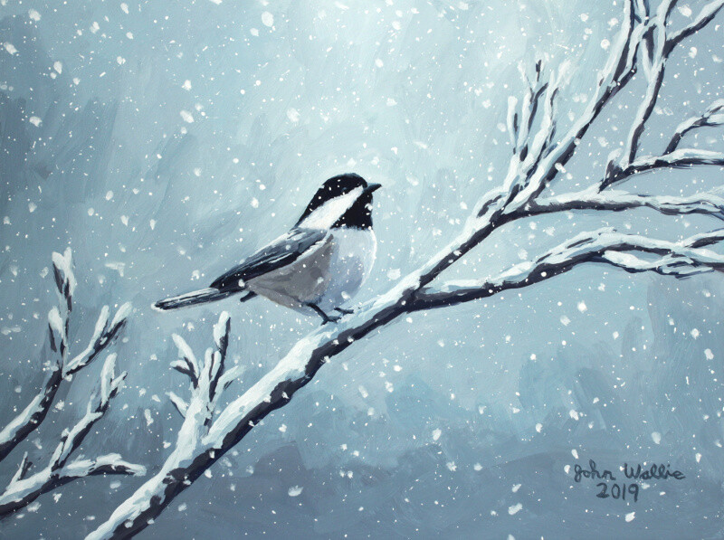 ArtStation - Winter Chickadee