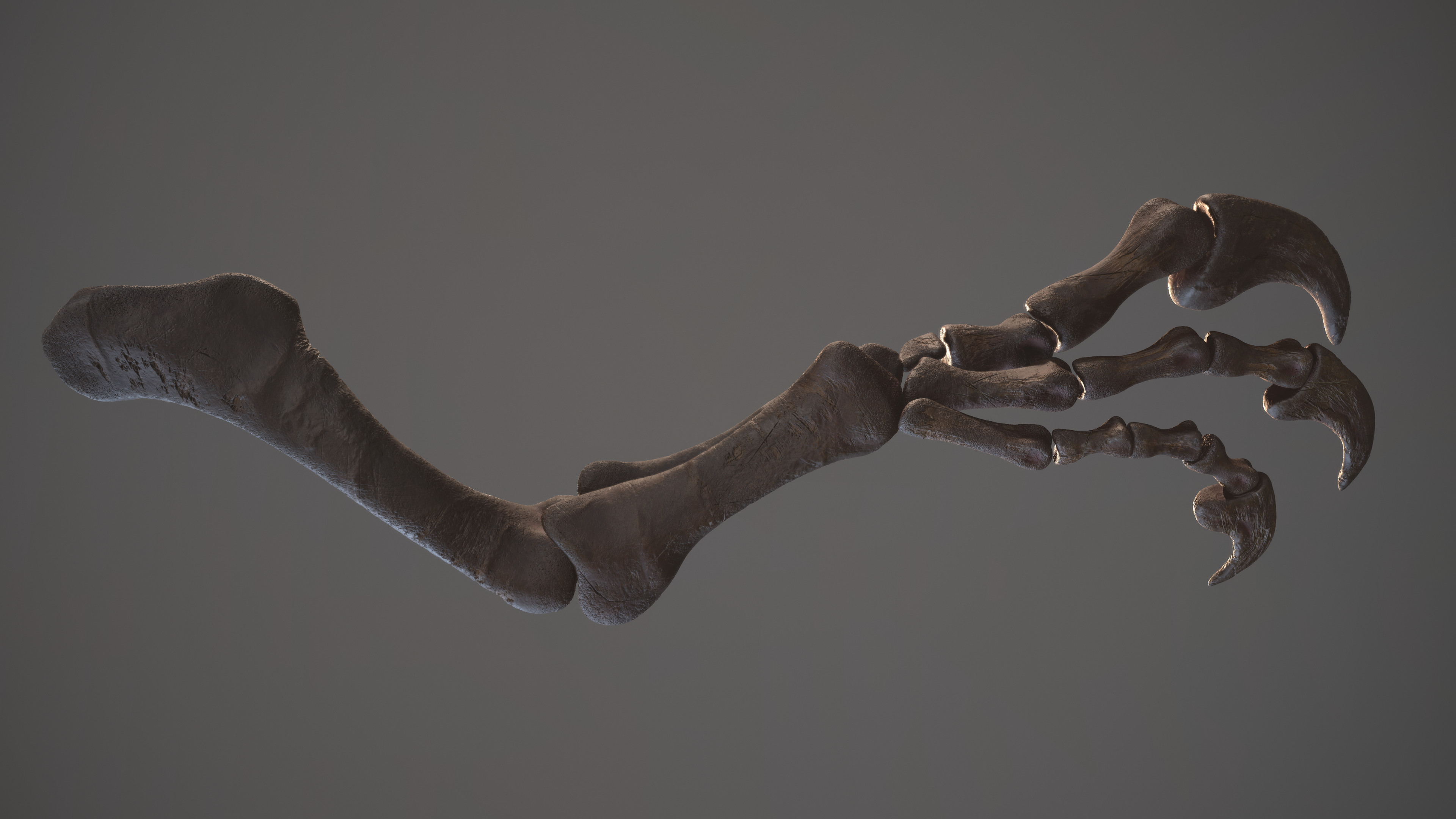 Richard Bryce Gore - Allosaurus Fragilis Arm Bones: Realtime