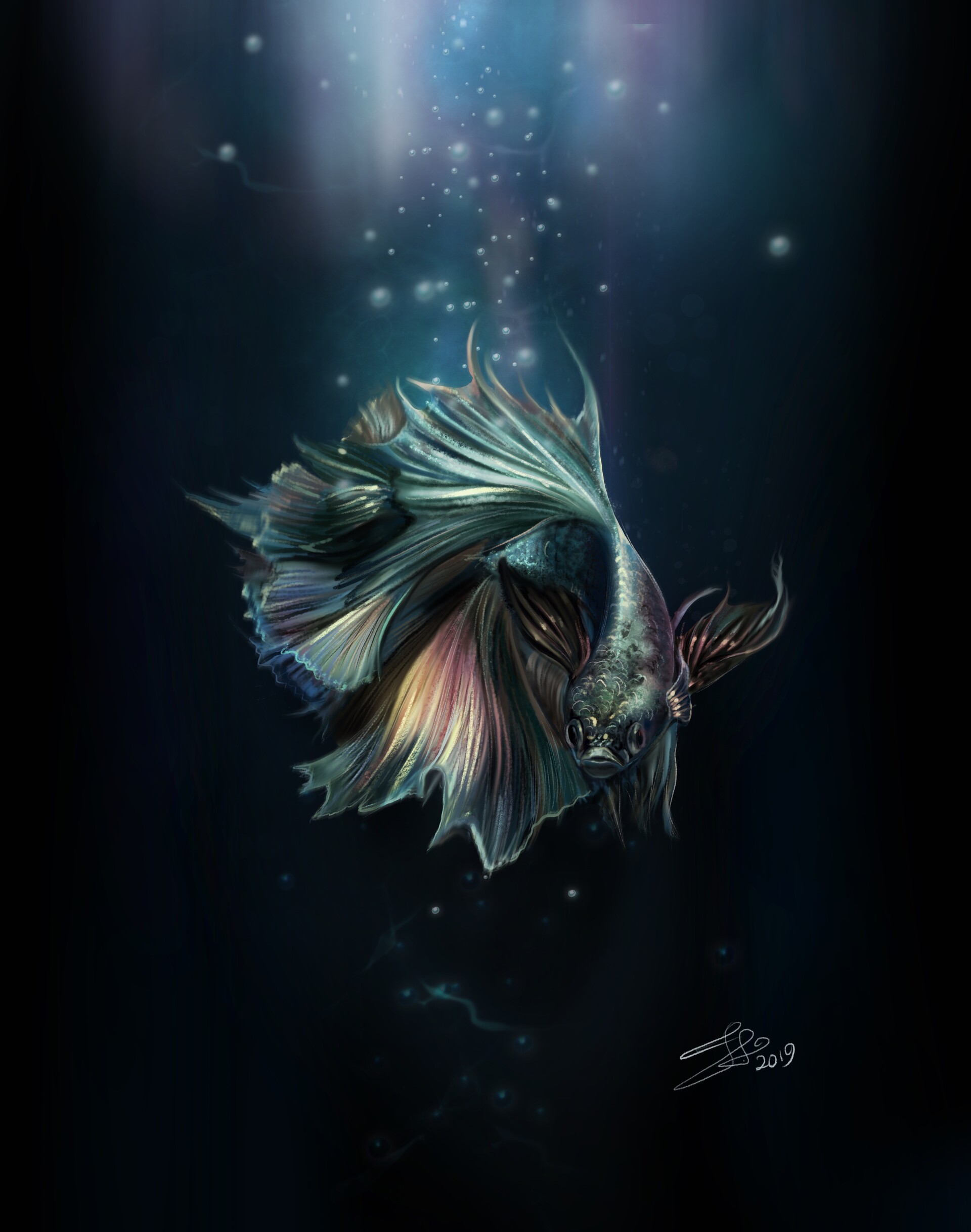 ArtStation - Betta fish - fighting fish