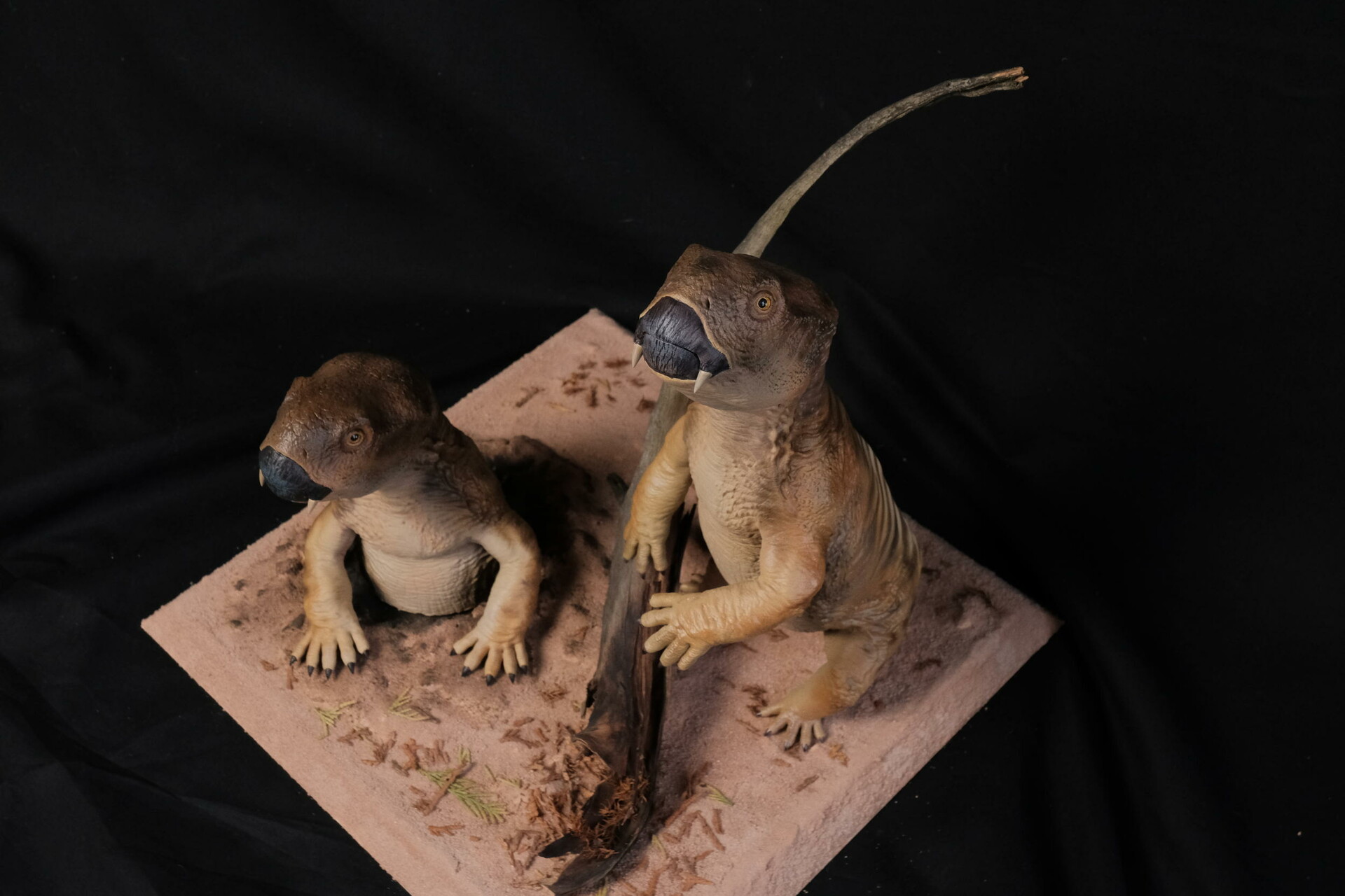 Simon Panek - Diictodon Diorama