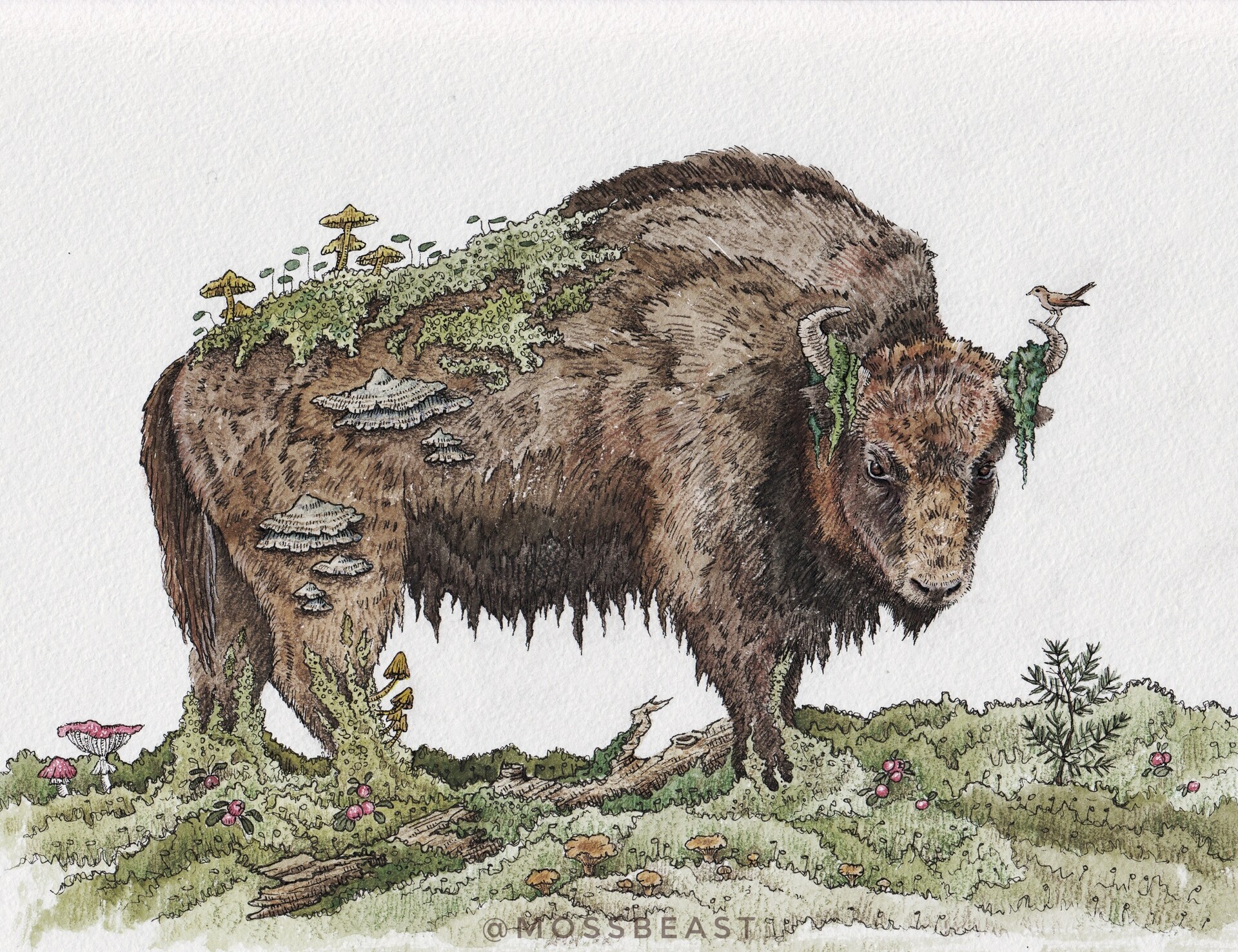 ArtStation - Russian bison