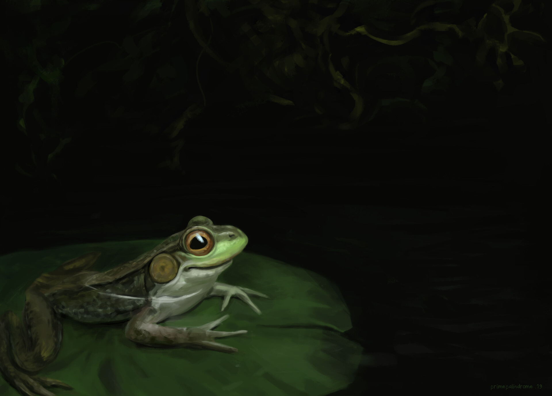 primepalindrome - - Frog one