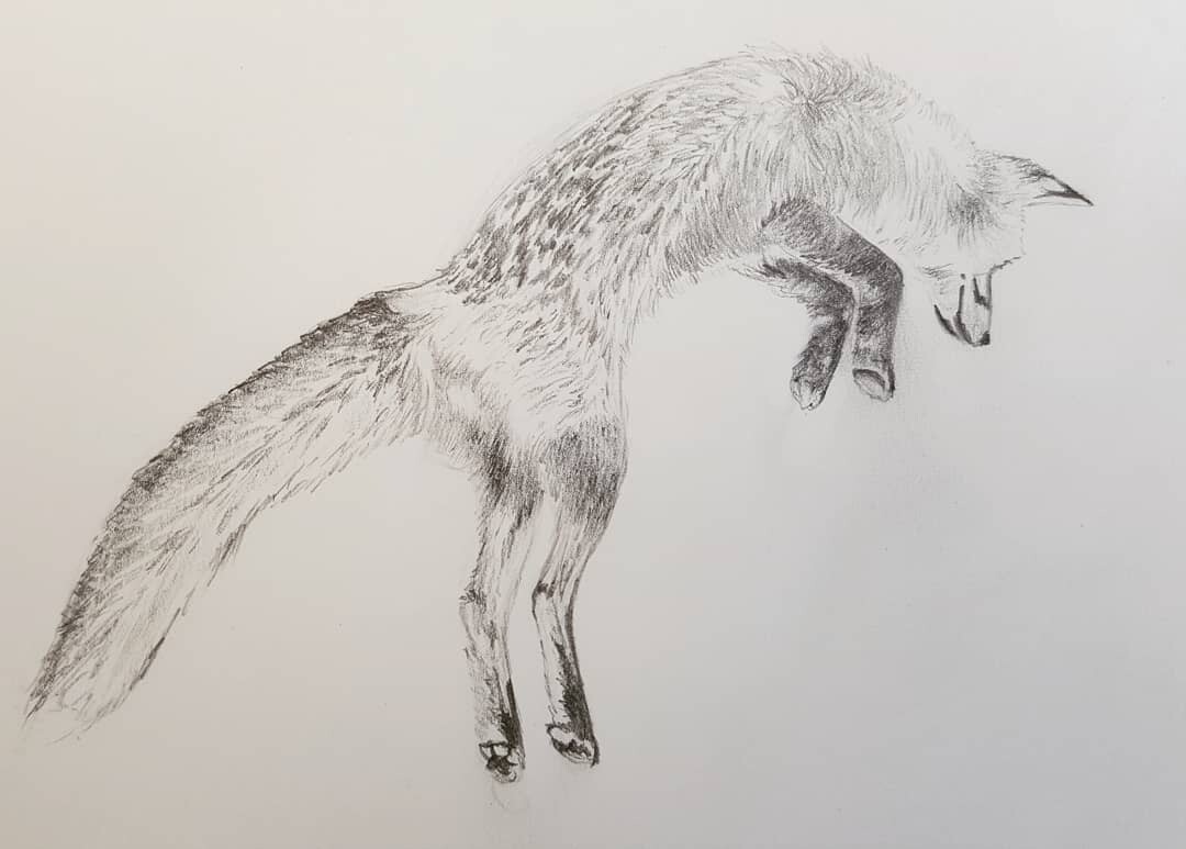 how to draw jumping fox