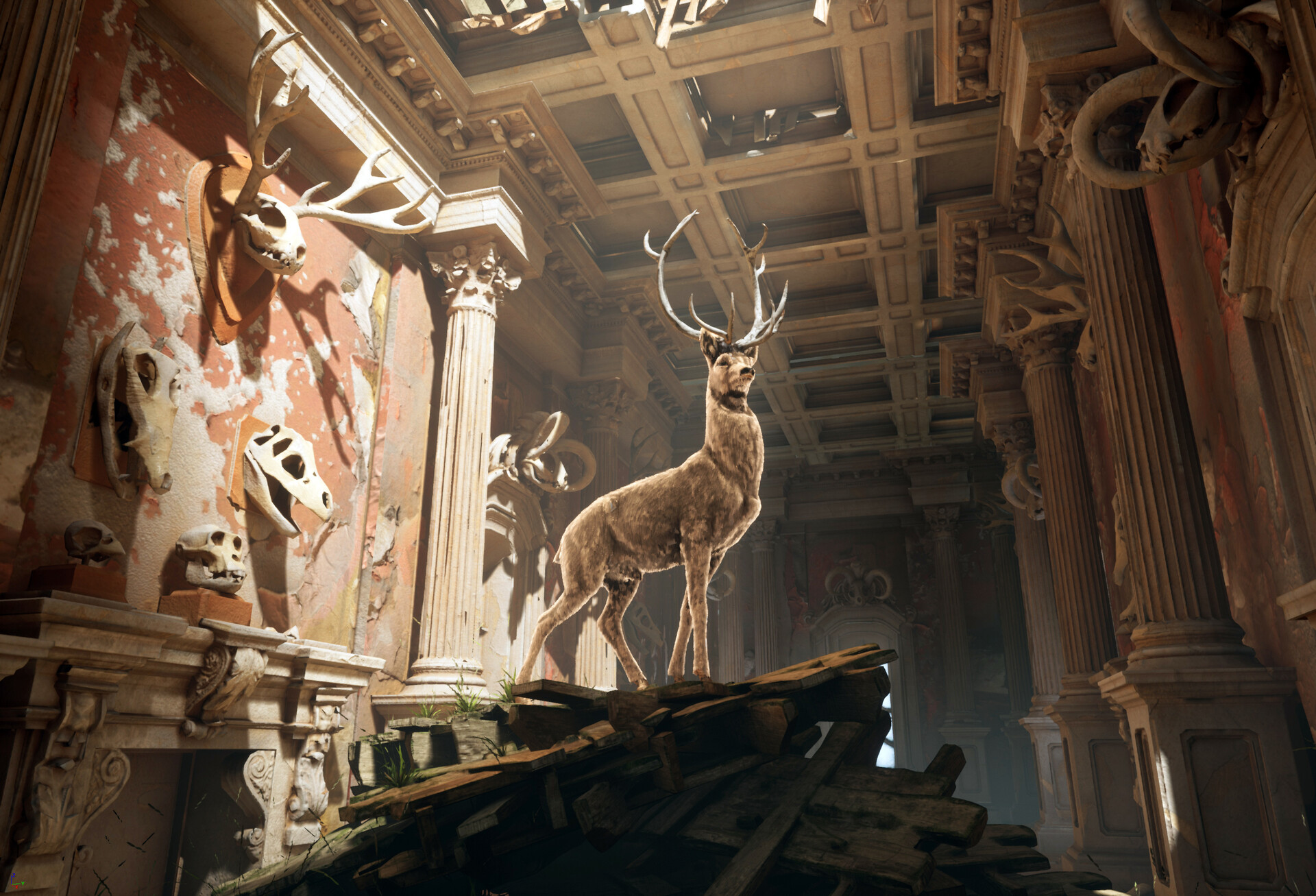 ArtStation - Life After