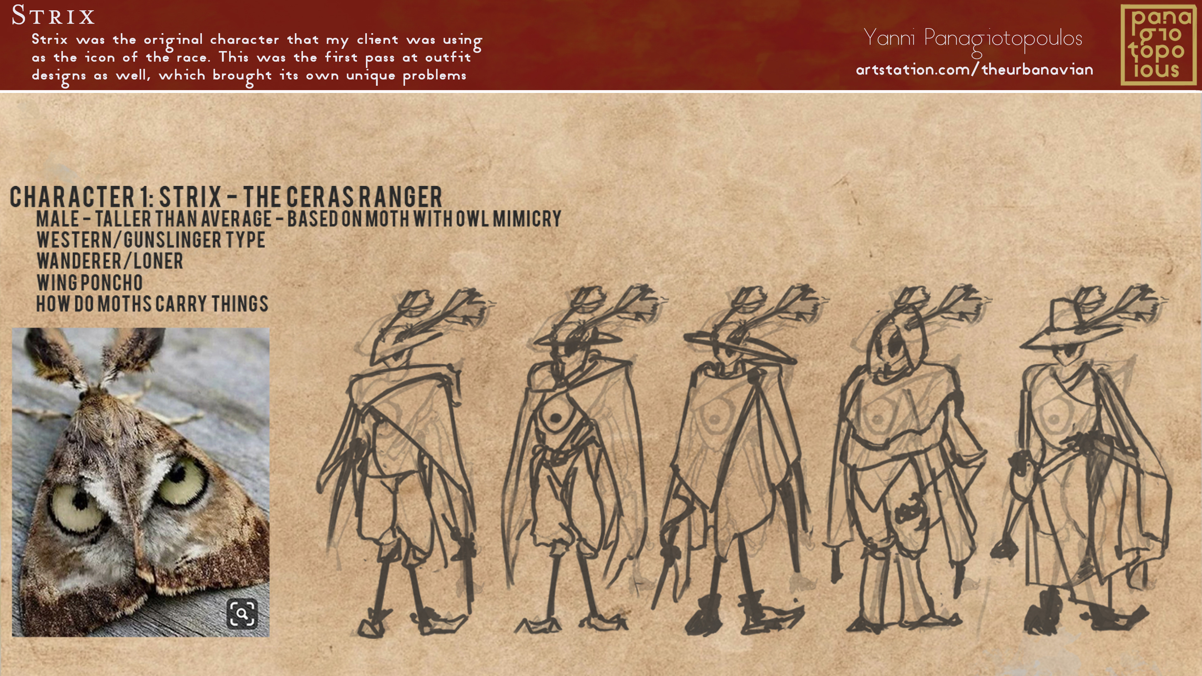 strix pathfinder race