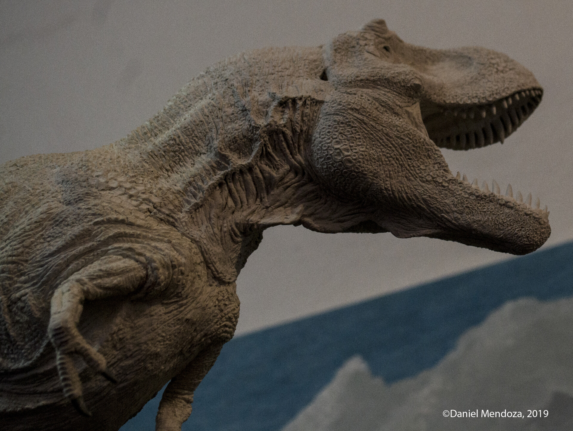 ArtStation - Tyrannosaurus