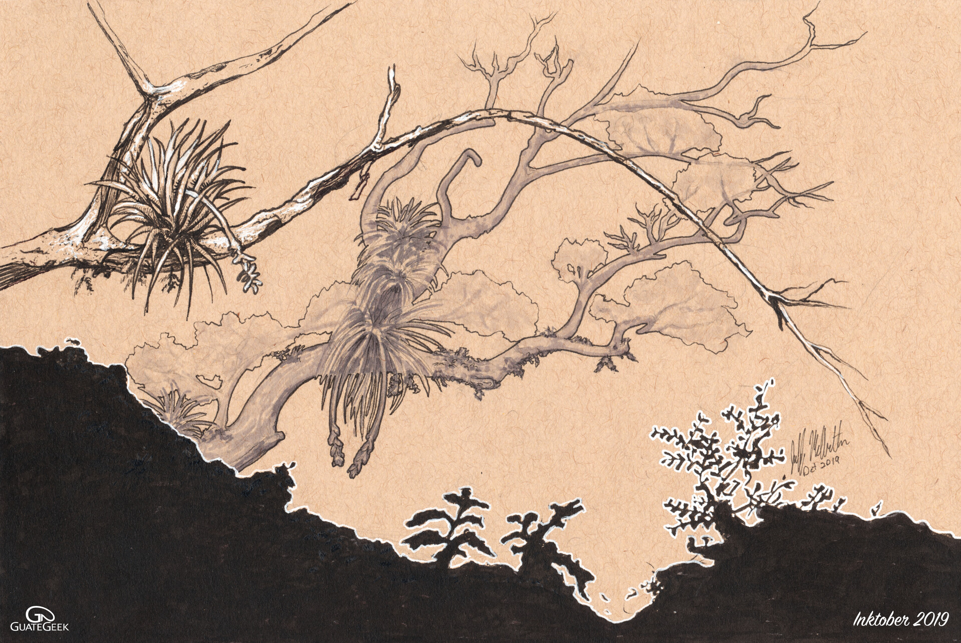 Jeff McArthur (Guategeek) - Inktober 2019 - Air-Plants
