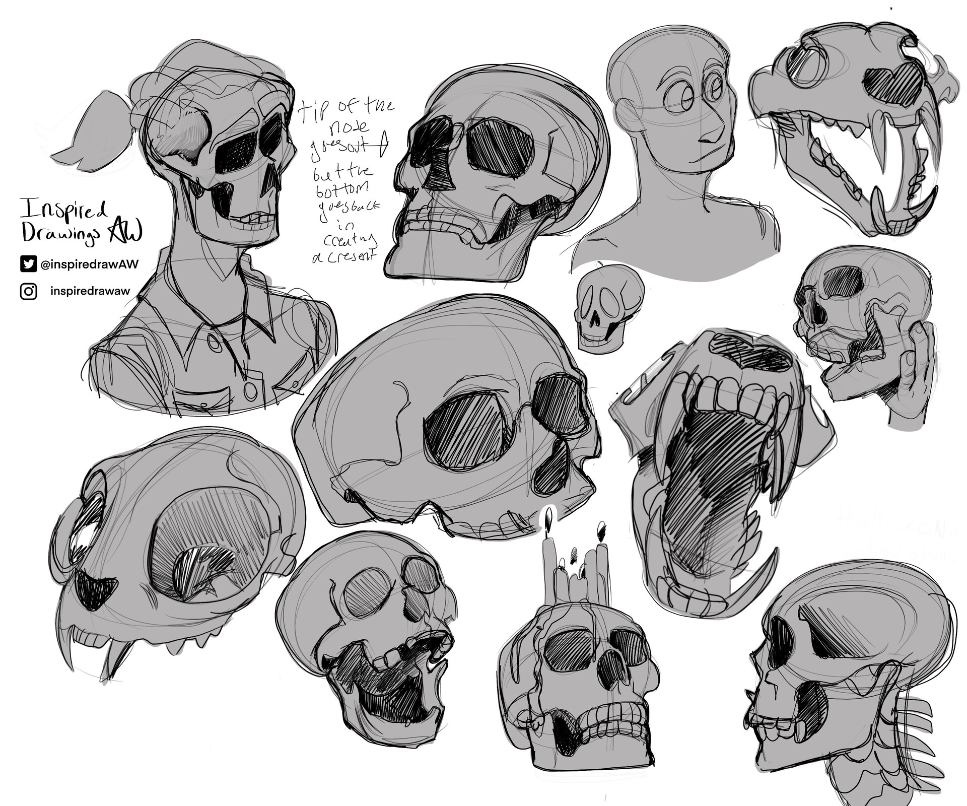 ArtStation - SKULLS SKULLS SKULLS SKULLS