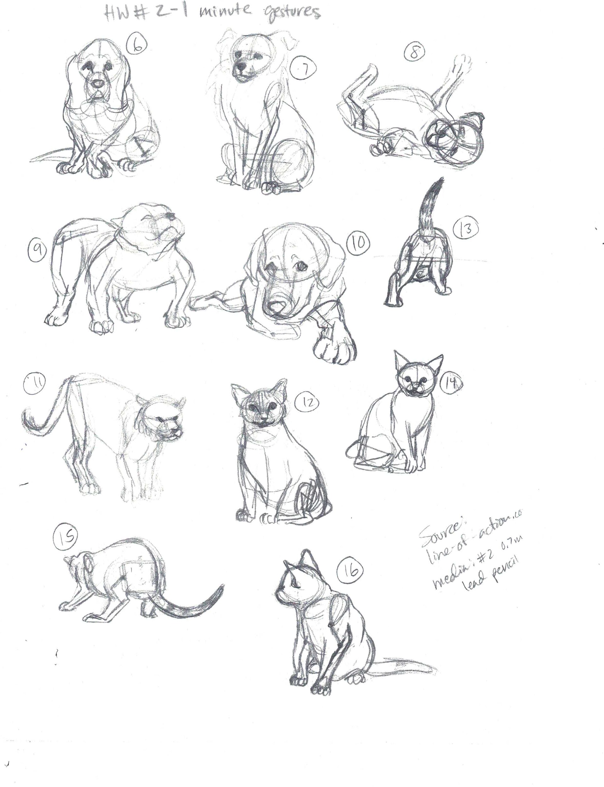 how to draw animal gestures