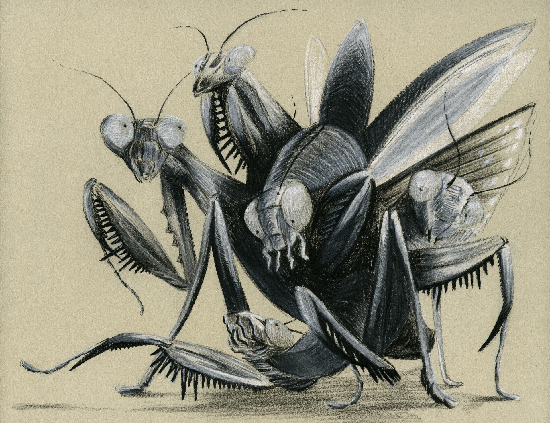 ArtStation - Hydra Series 4