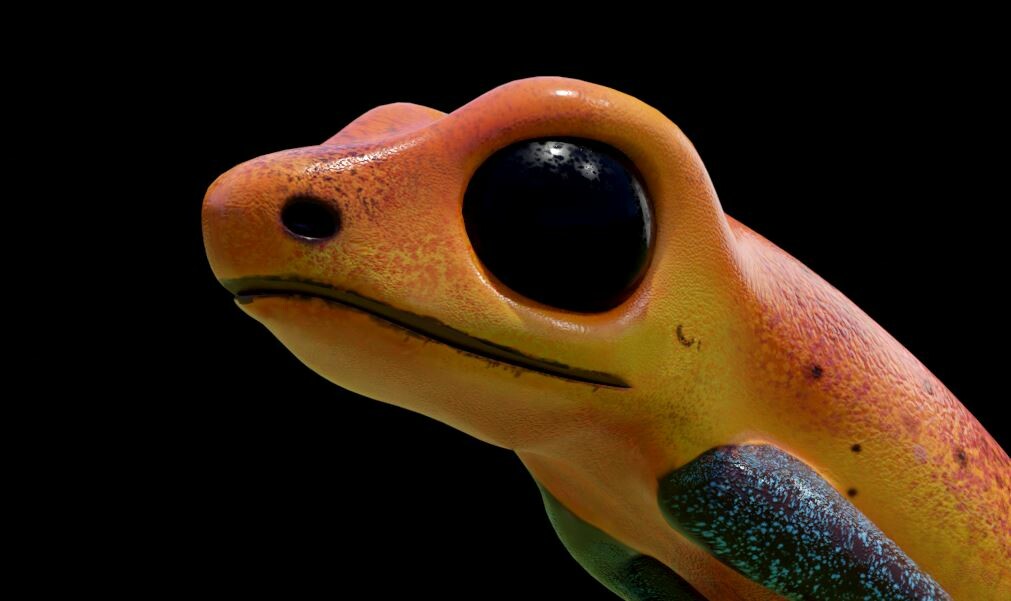 ArtStation - Dart frog