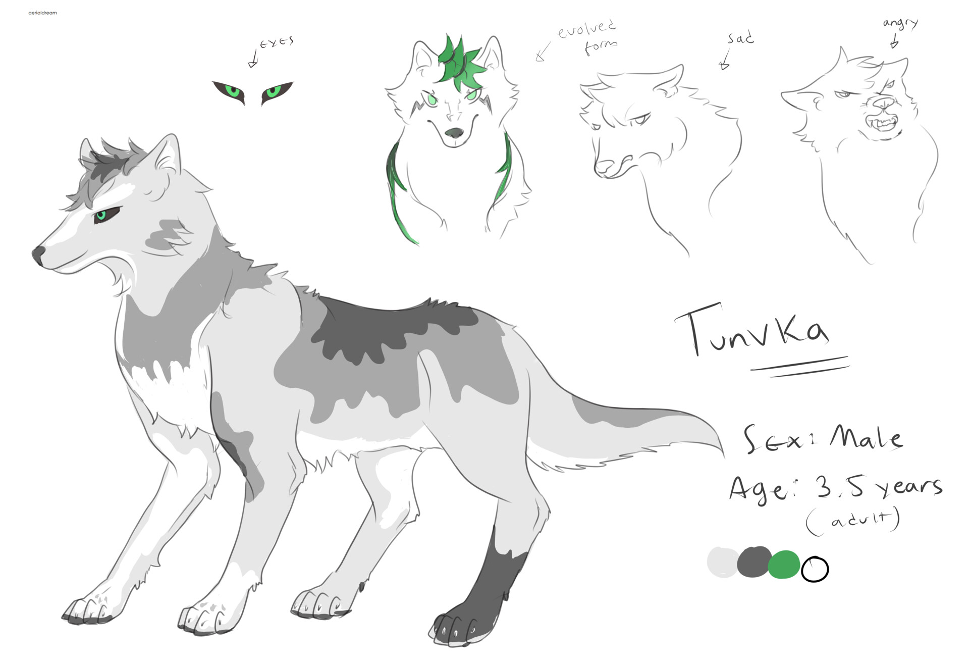 anime wolf drawing reference