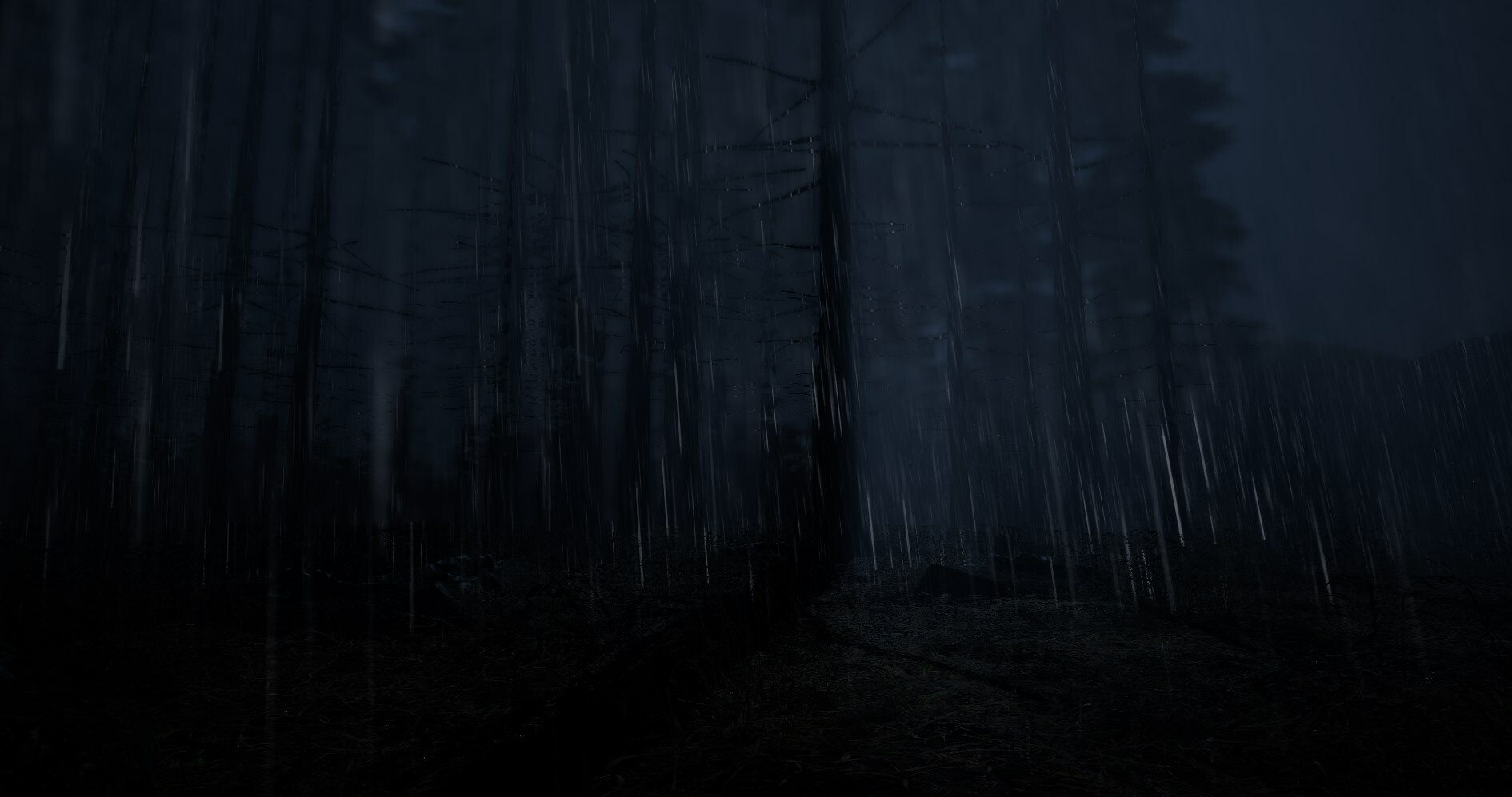 Connor Inglis - The Sinister Before the Storm / Pinecrest Forest ...