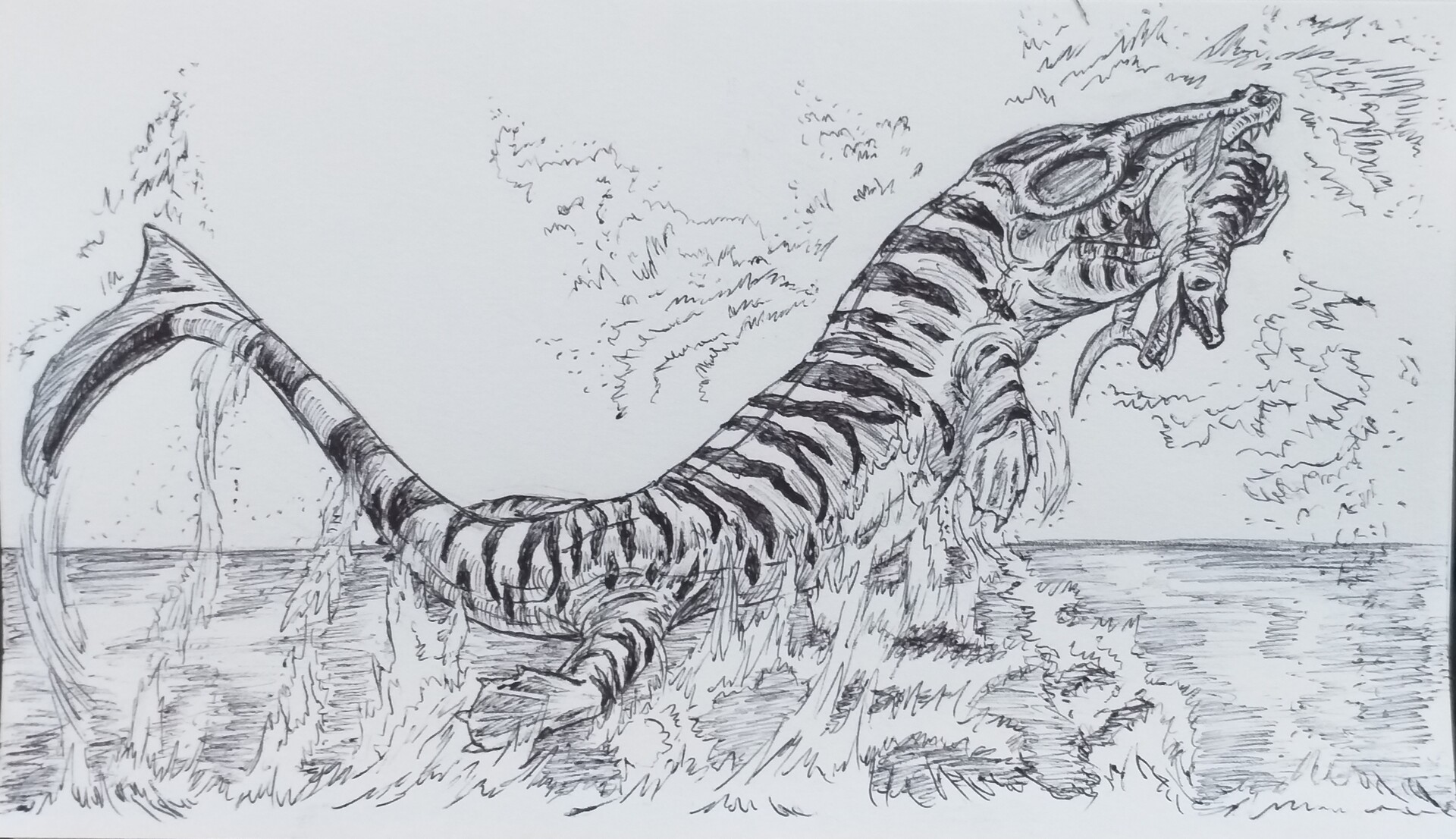 Dakosaurus