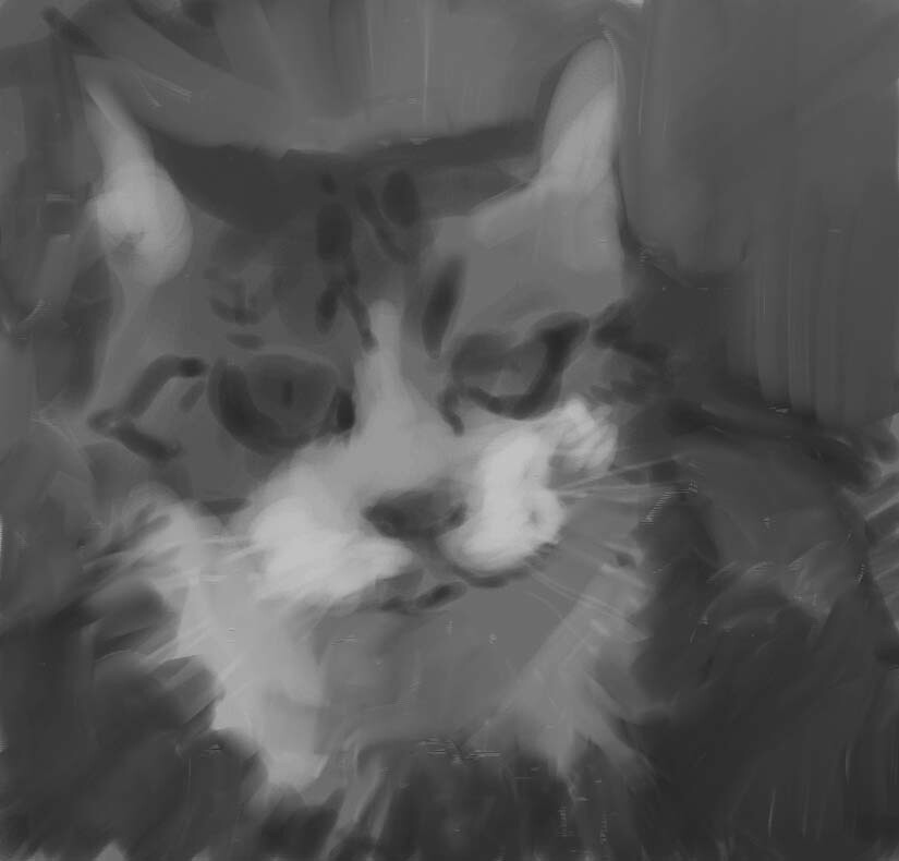 ArtStation - Cats study