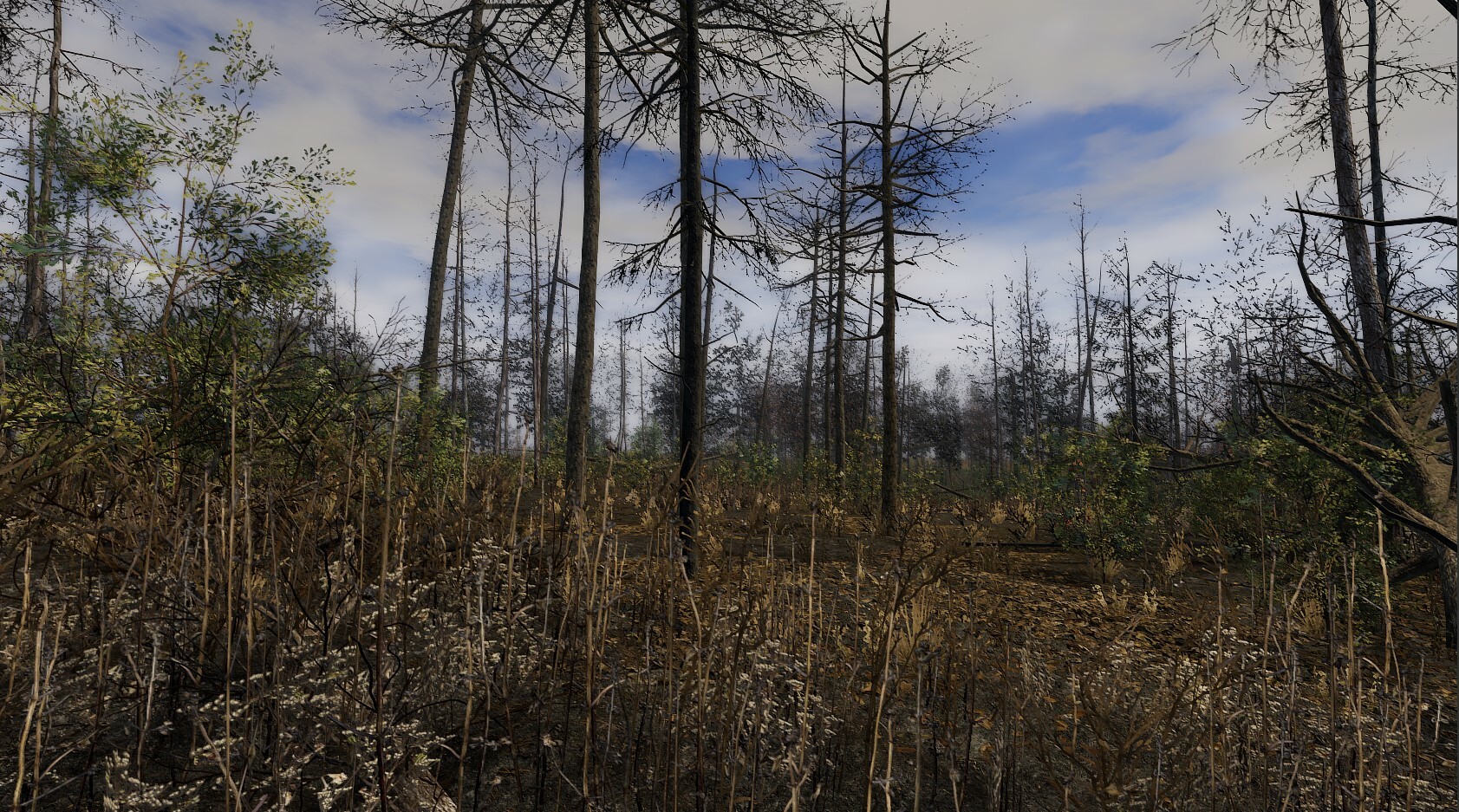 Alex J - LAND NAV game - enviro batch 1