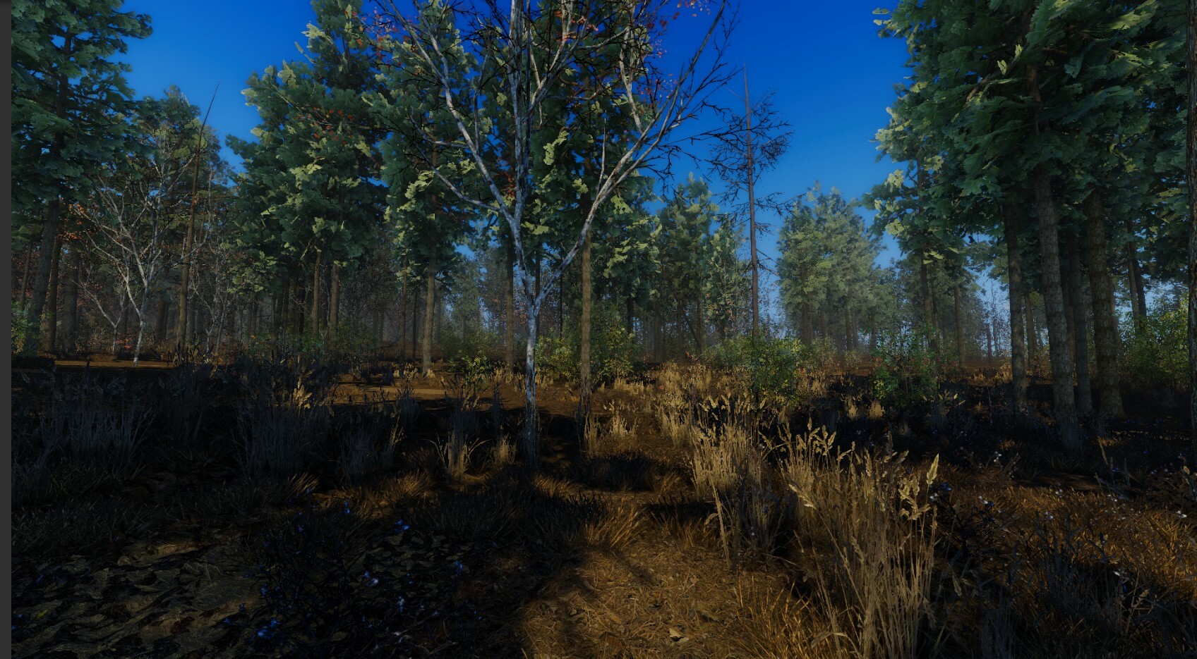 Alex J - LAND NAV game - enviro batch 1