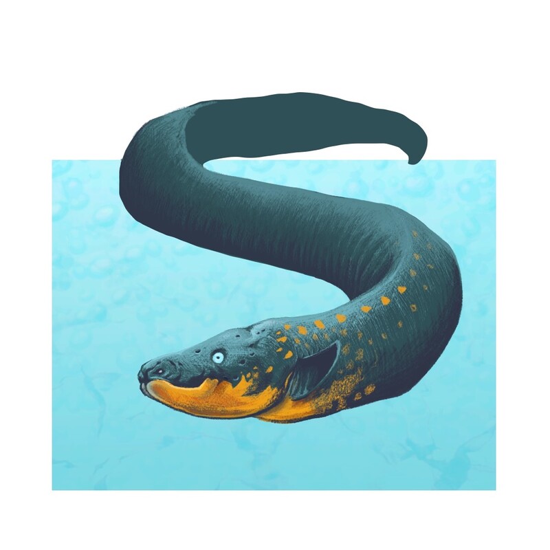 ArtStation - Patrick Rios