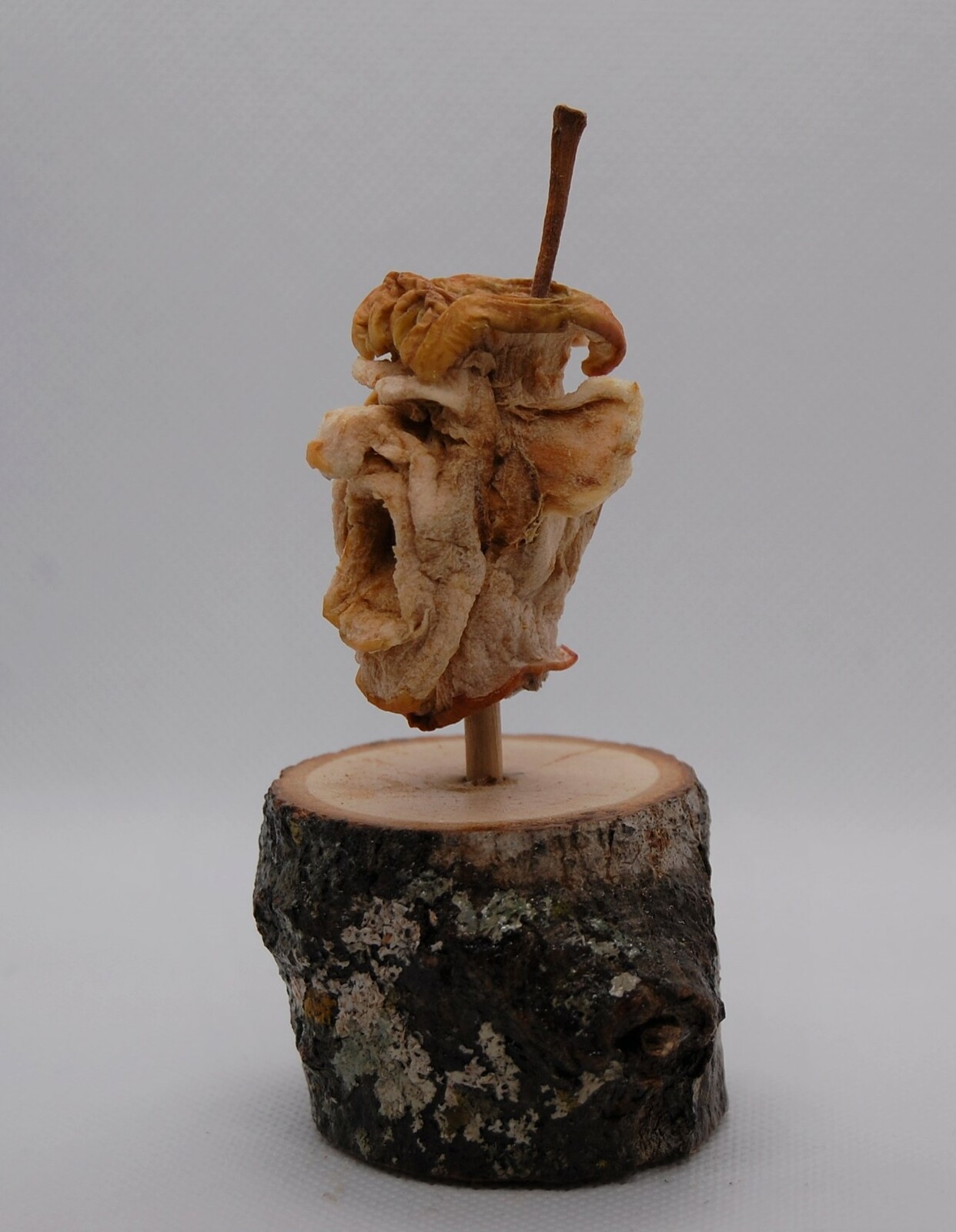 Gary Frederick - Art Core and the potato men