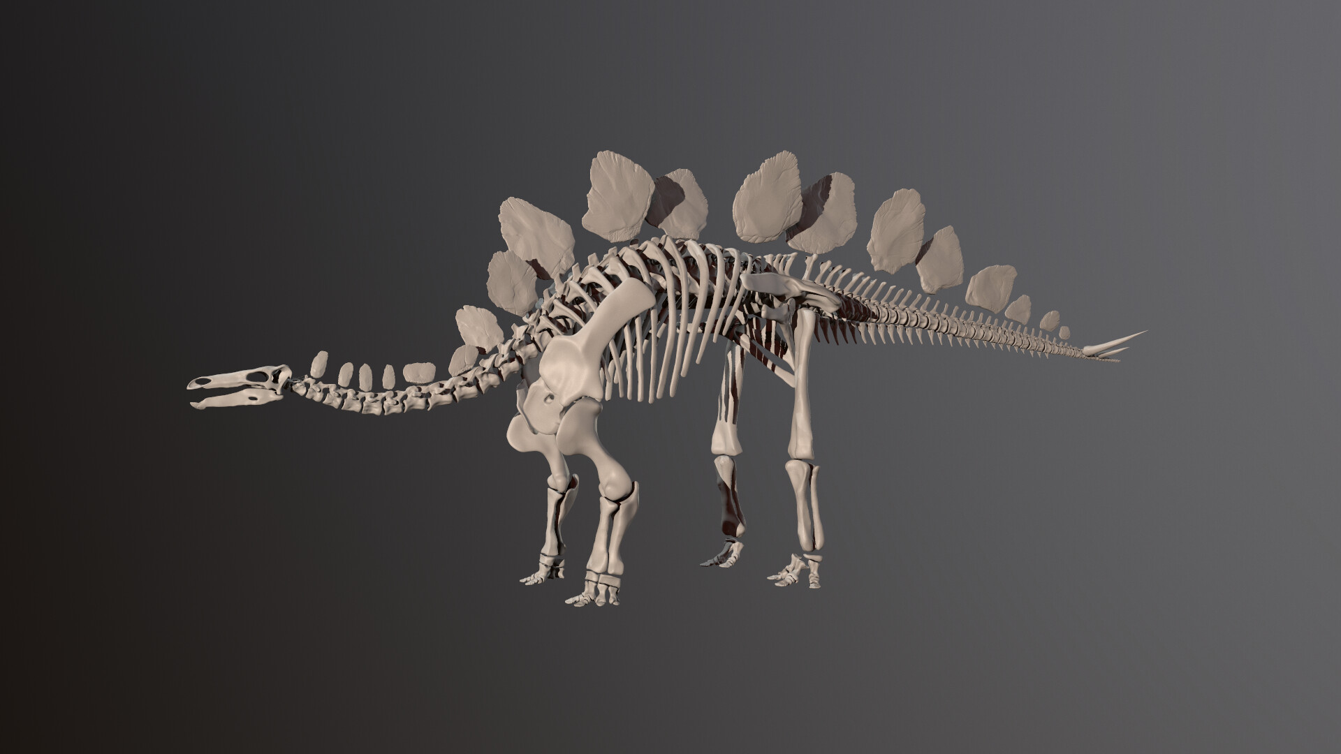 ArtStation - Stegosaurus Stenops skeleton