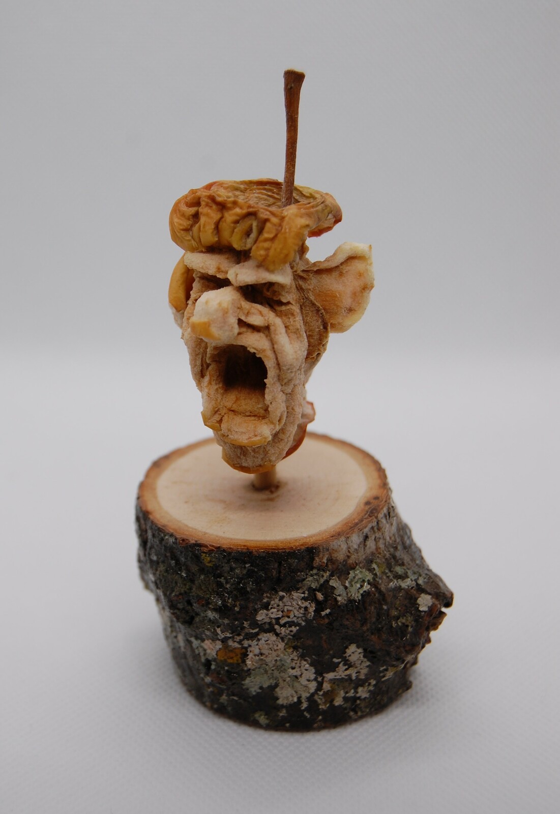 Gary Frederick - Art Core and the potato men