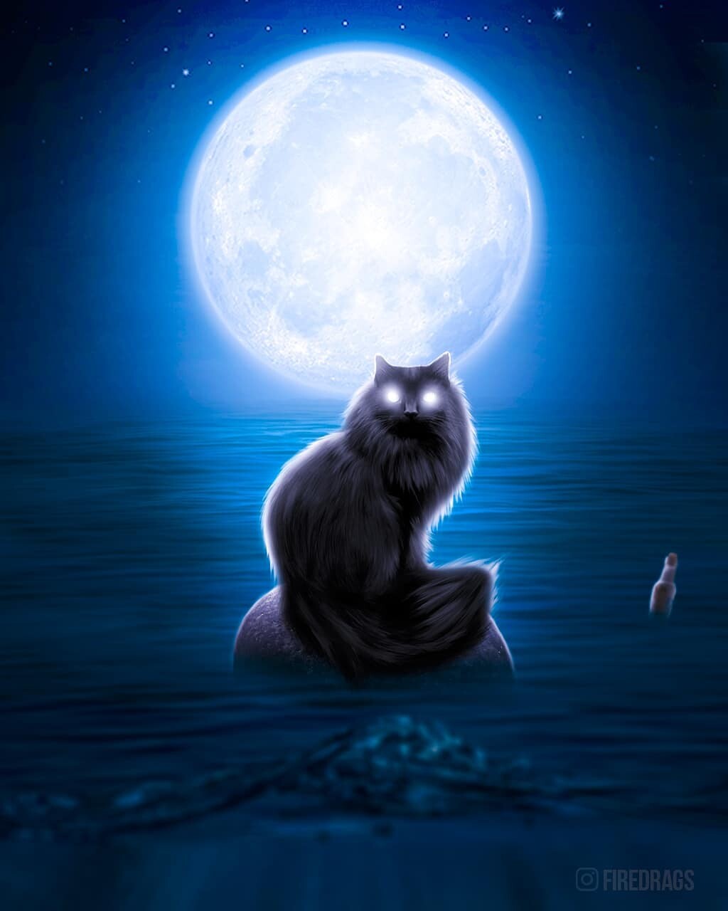 ArtStation - Cat night