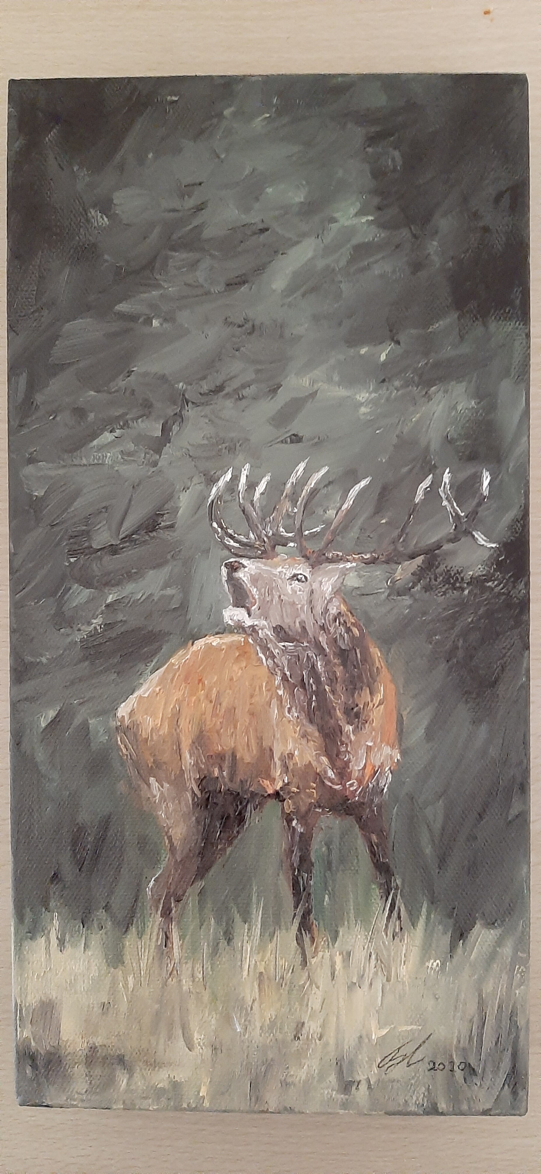 ArtStation - Red Stag Study