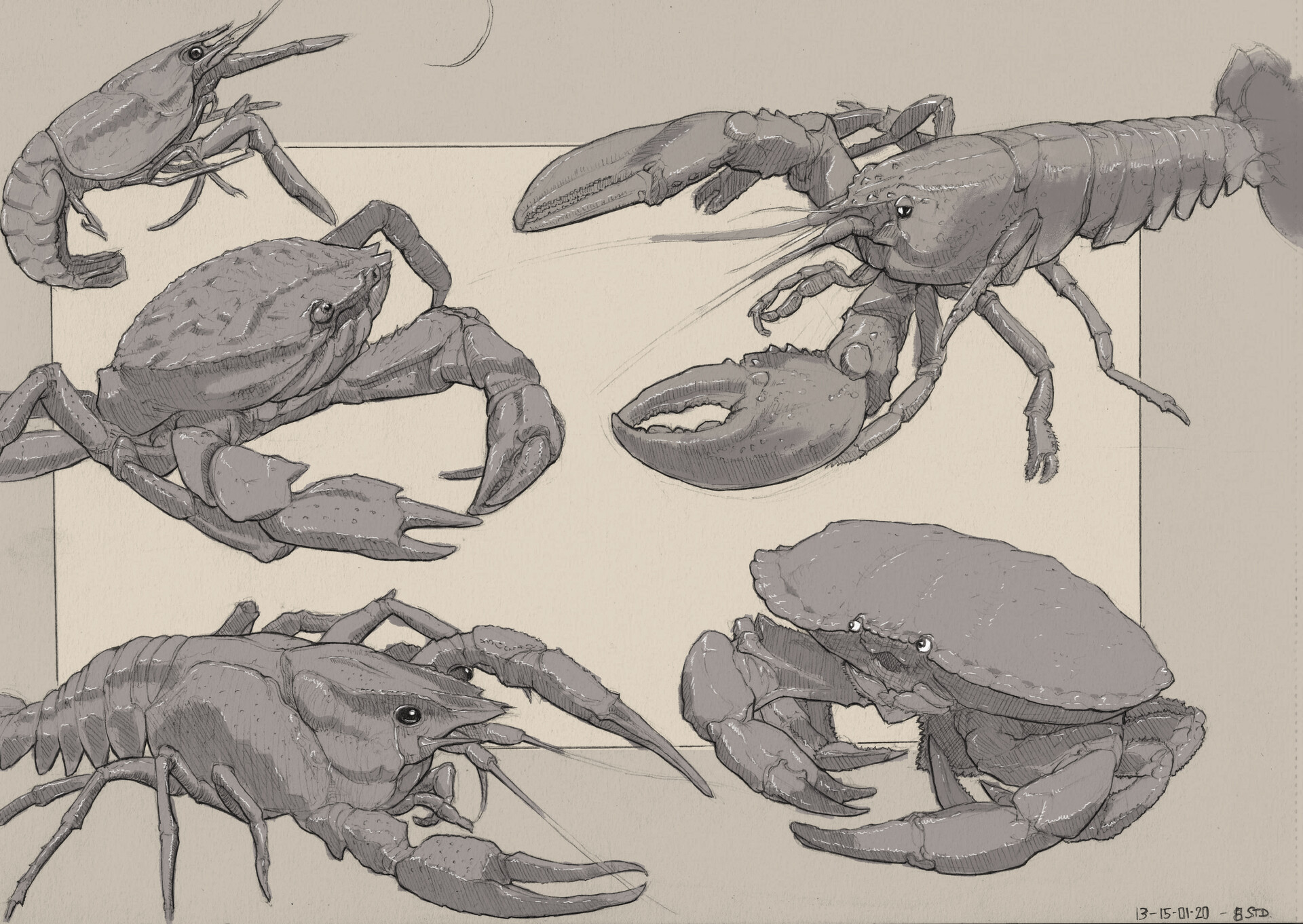 ArtStation - Photoreference