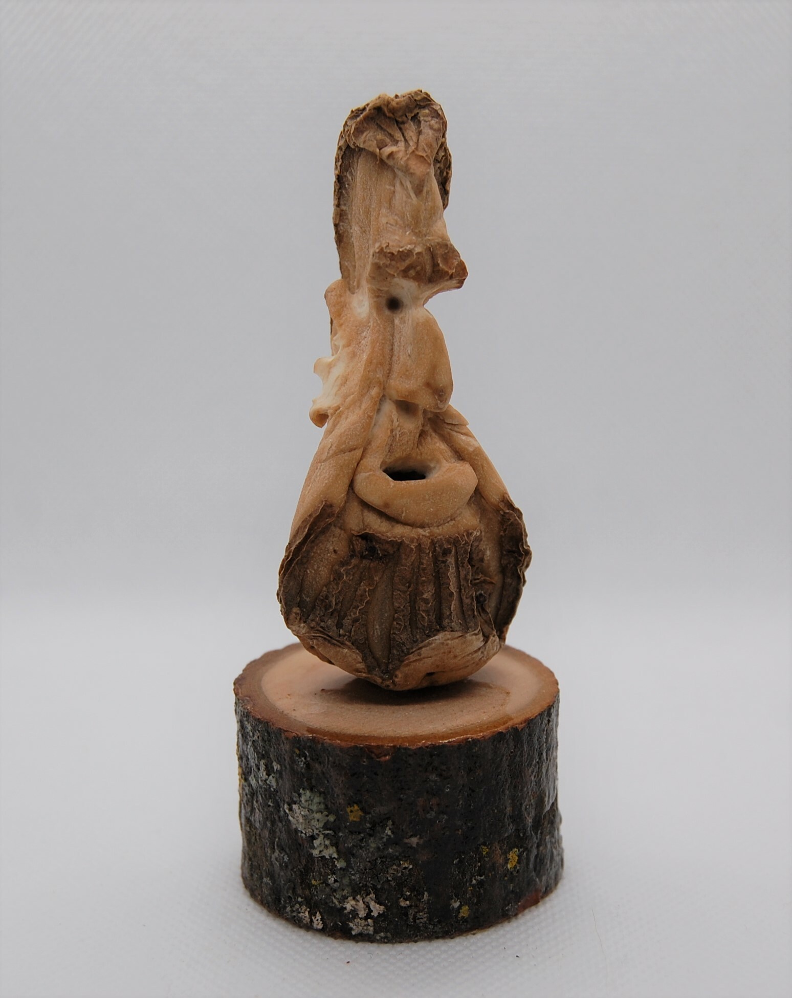 Gary Frederick - Art Core and the potato men