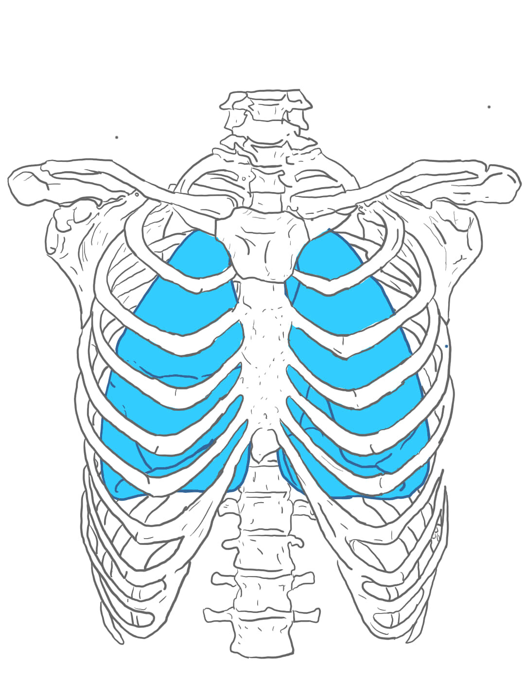 ArtStation - Blue Lungs