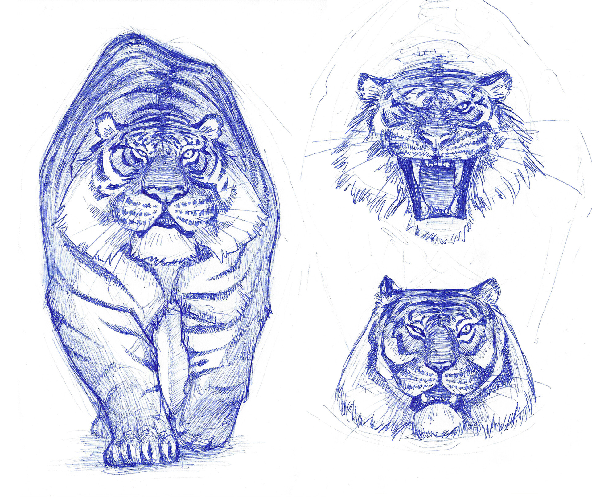 how to draw jungle book characters step by step