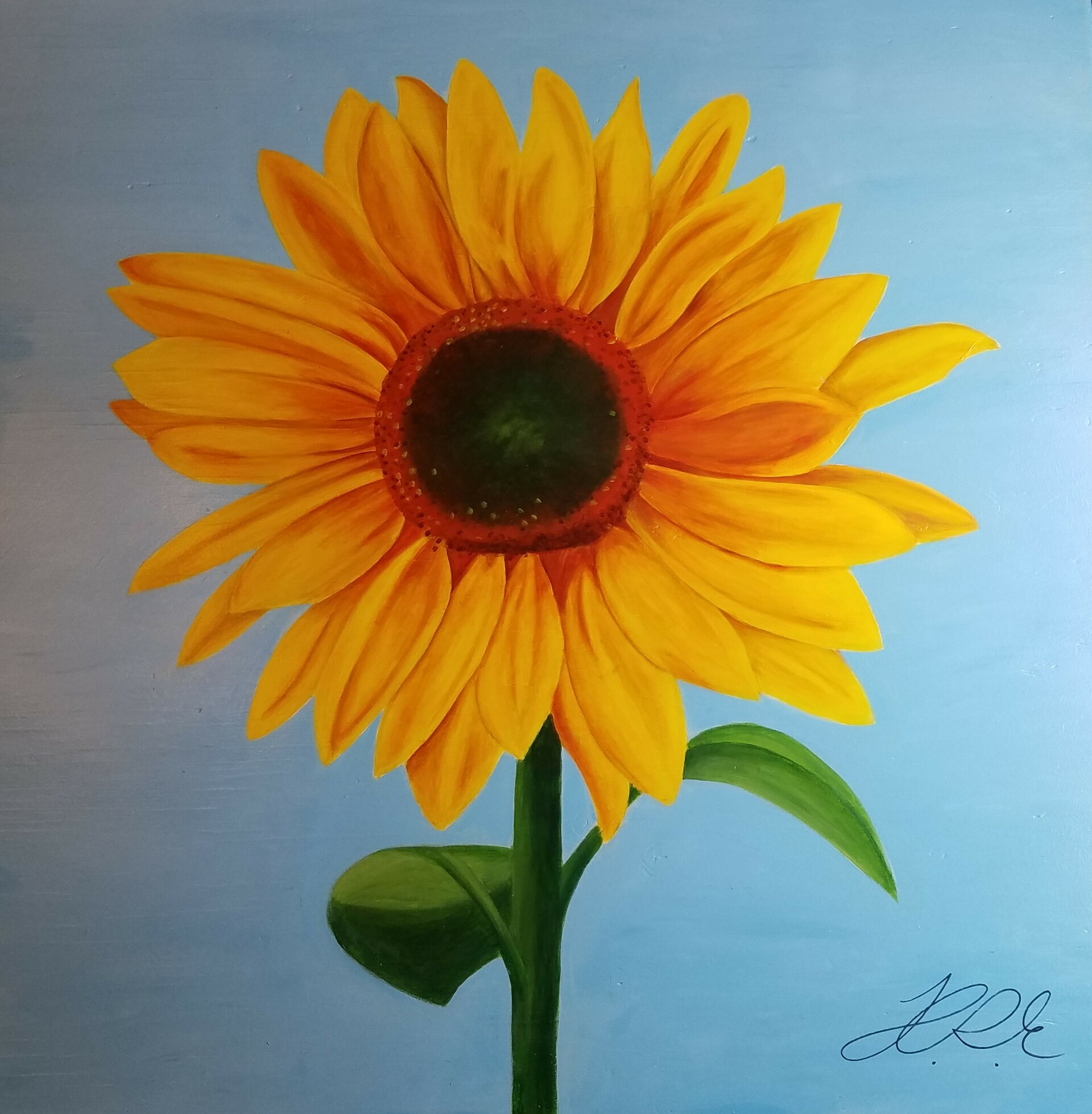 ArtStation - Sunflower