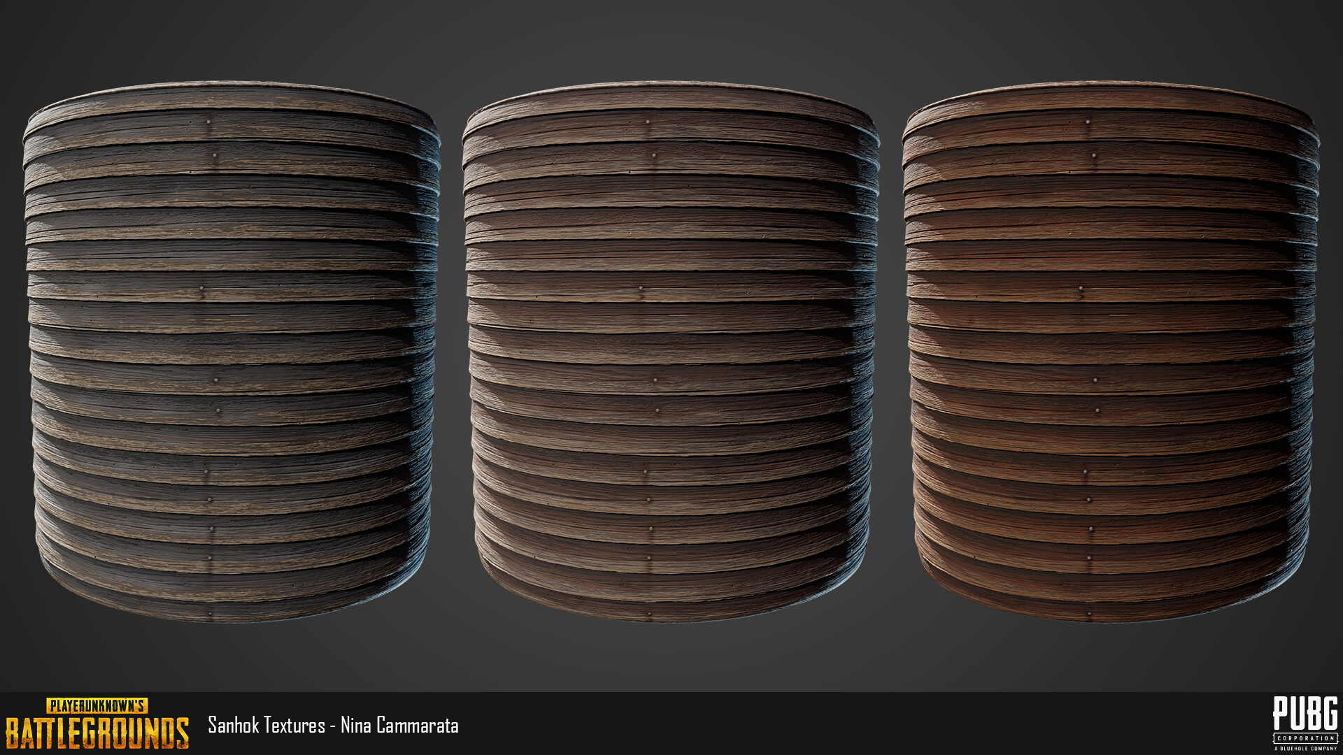 Nina Cammarata - PUBG Sanhok - Textures