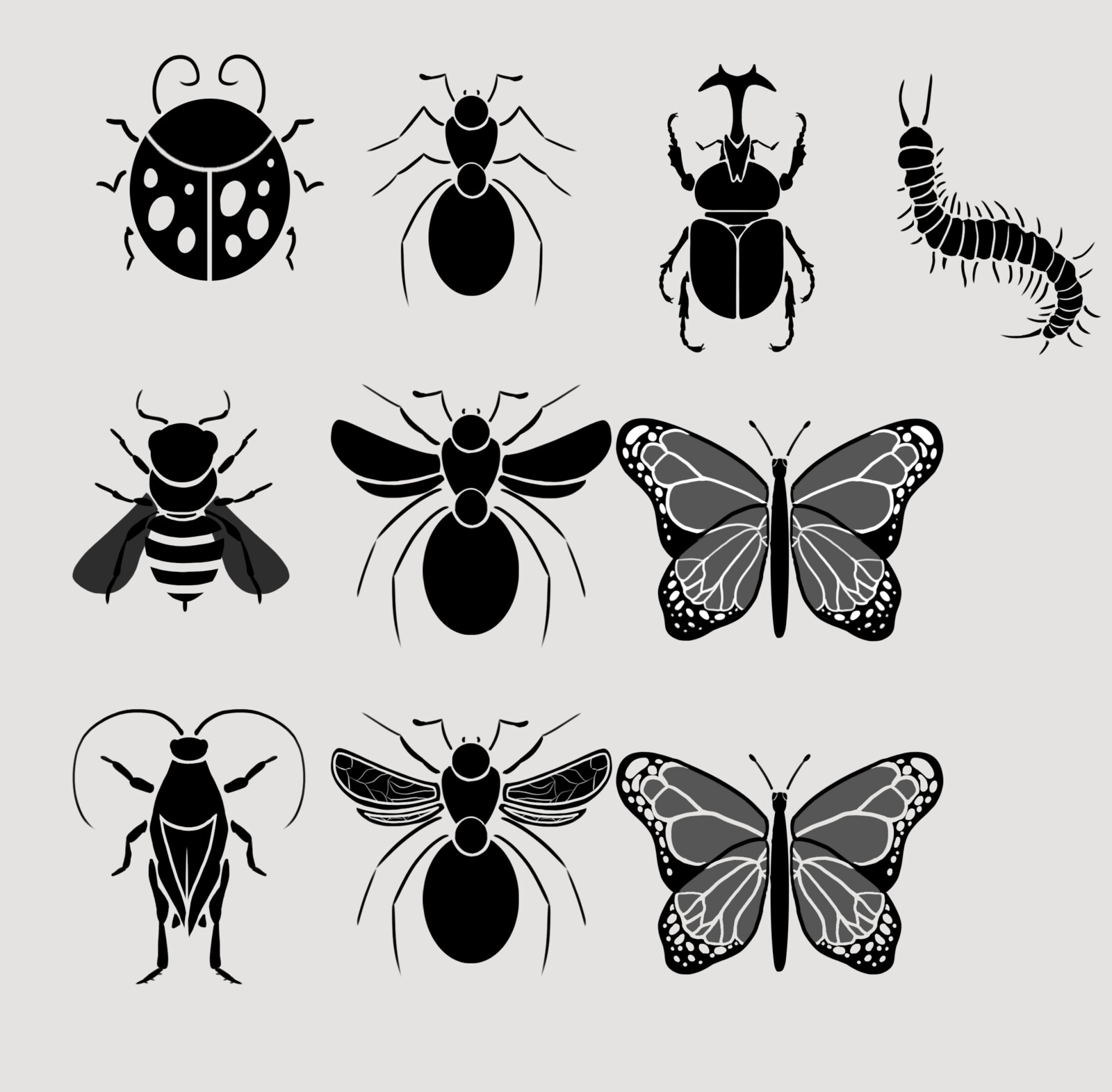 Jente Luinge - Insecto Chess