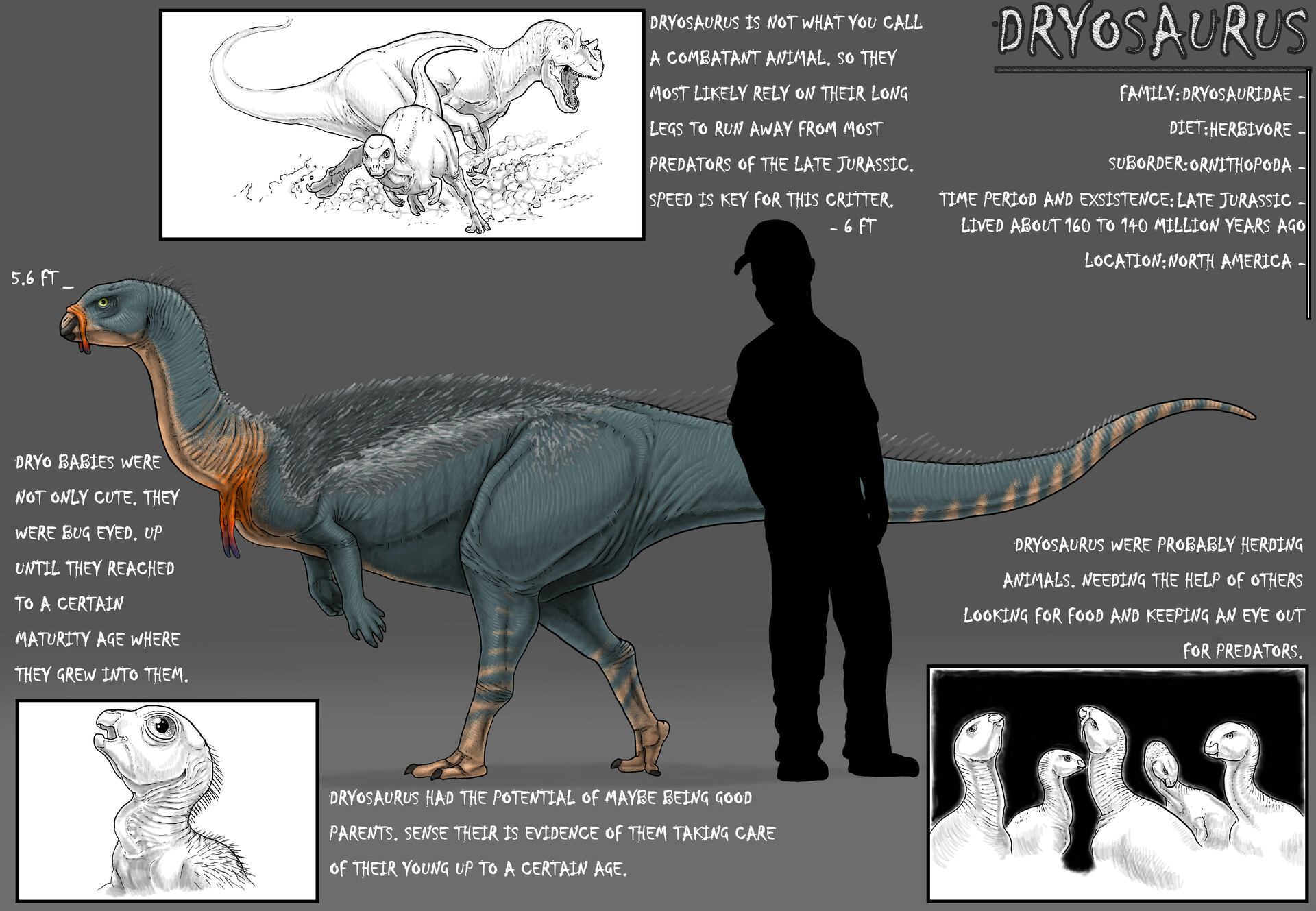 ArtStation - Dryosaurus Dossier
