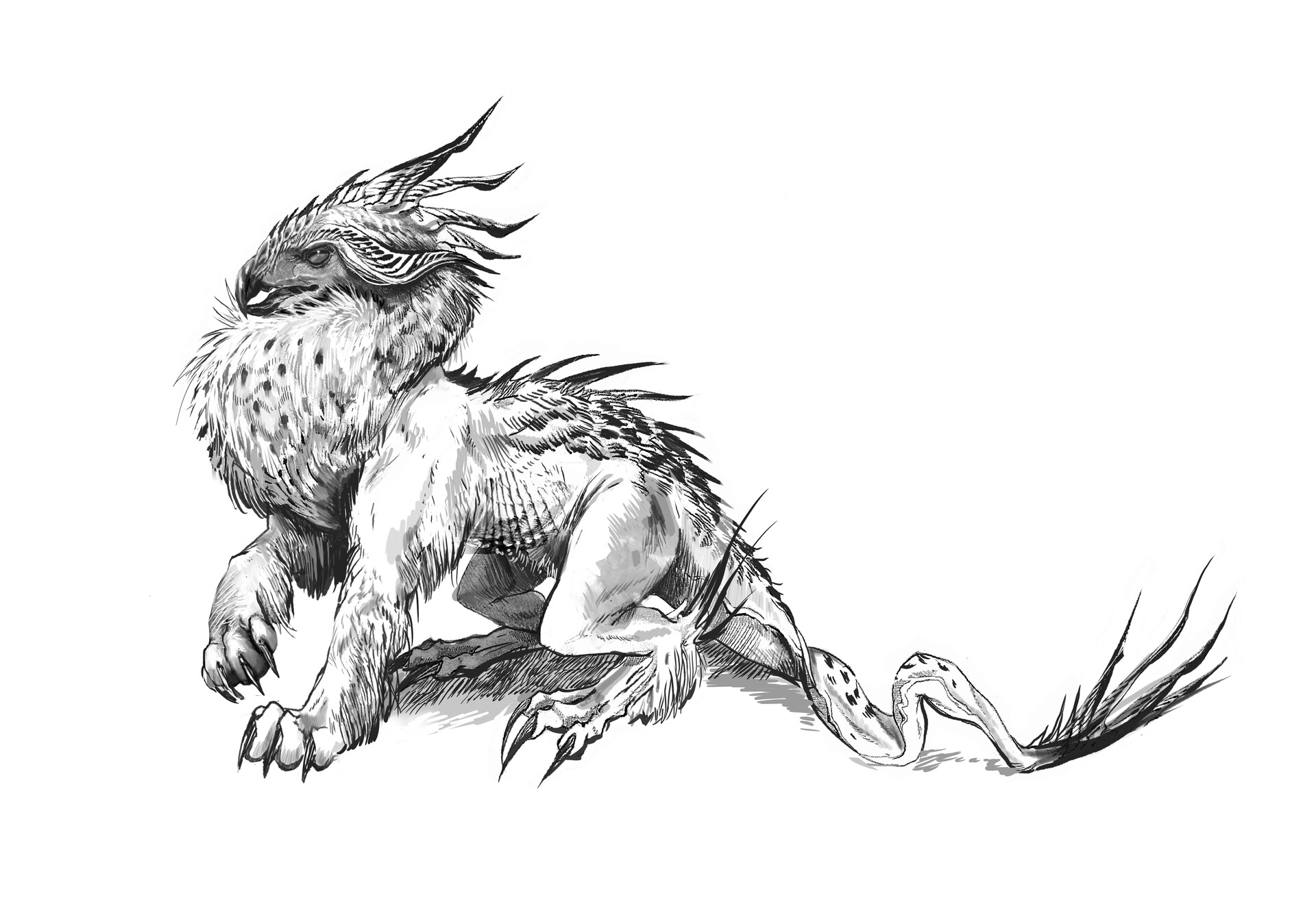 ArtStation - Creature Sketches
