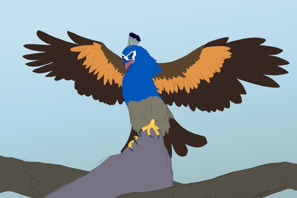 Mike Shachook - Peahawk