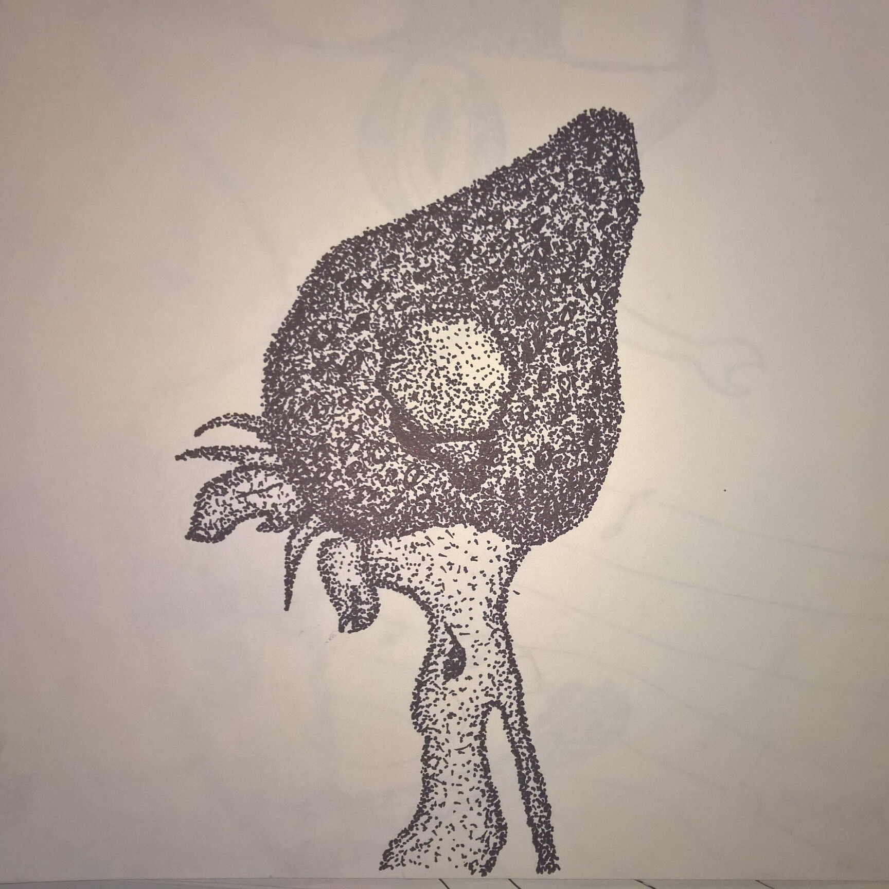 Carson Jones - Fine Art Practice!