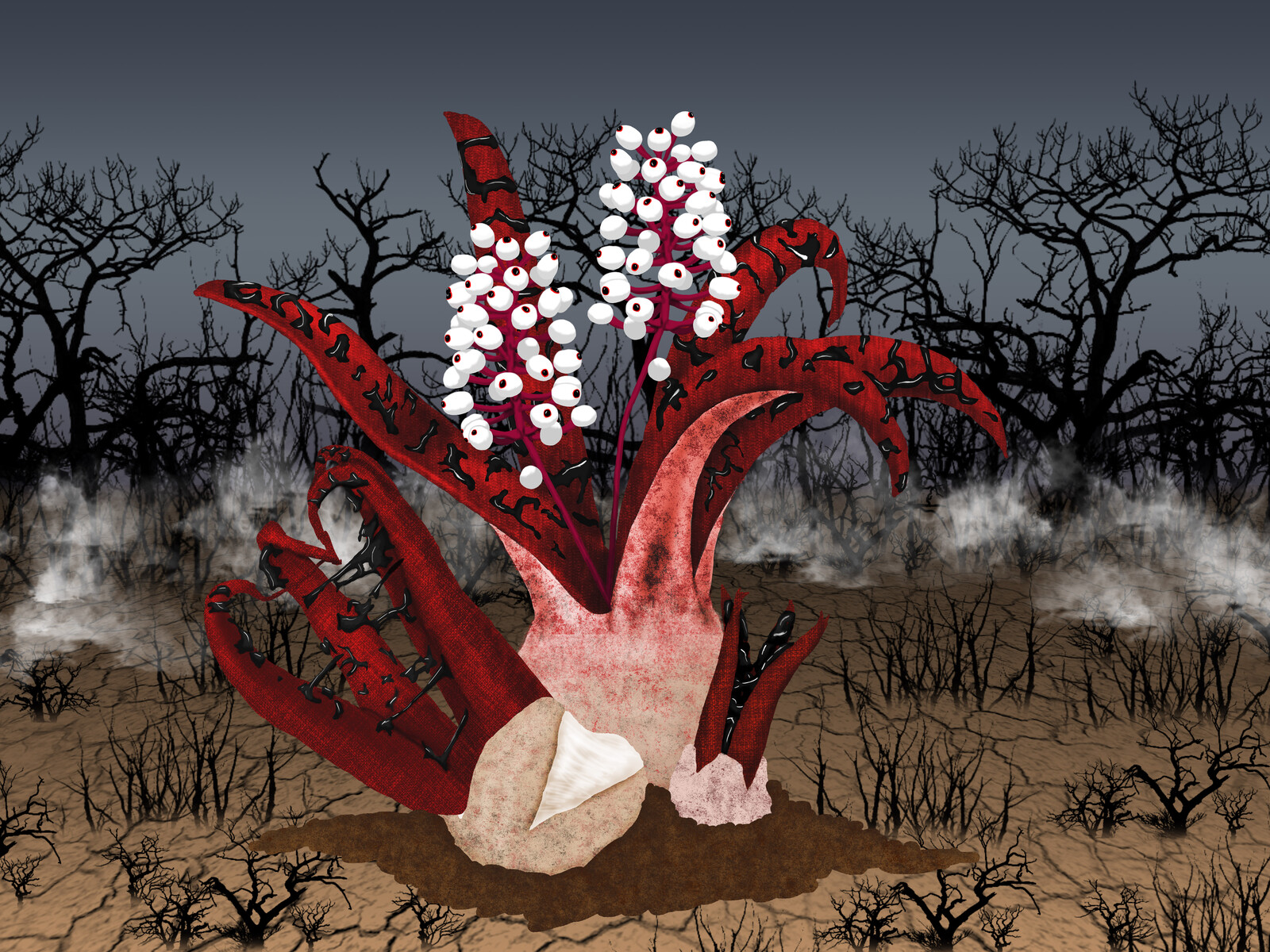 Stephanie Mancuso - Alien Plant- Character Design