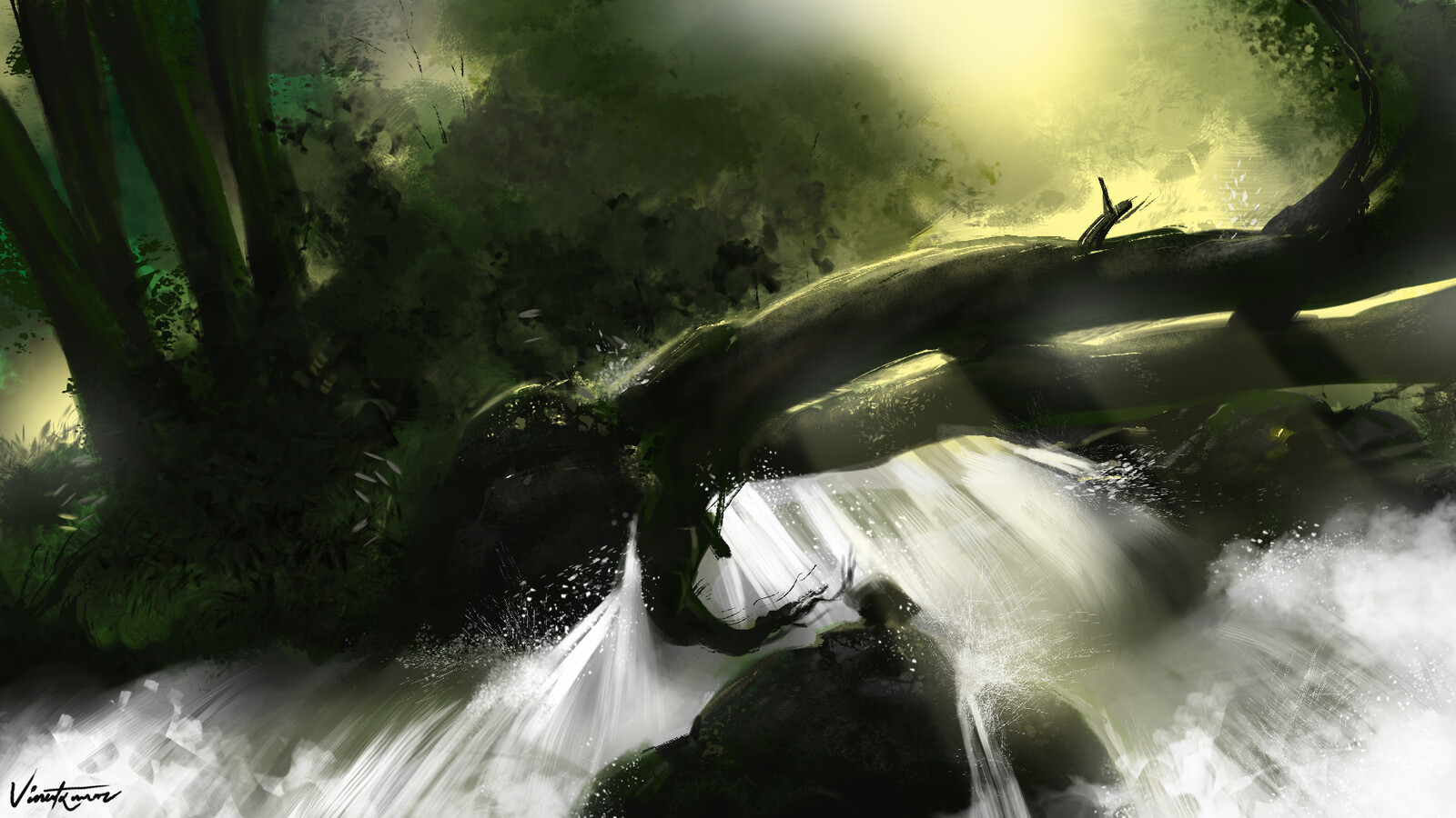 Vineet Kumar - Nature Practice